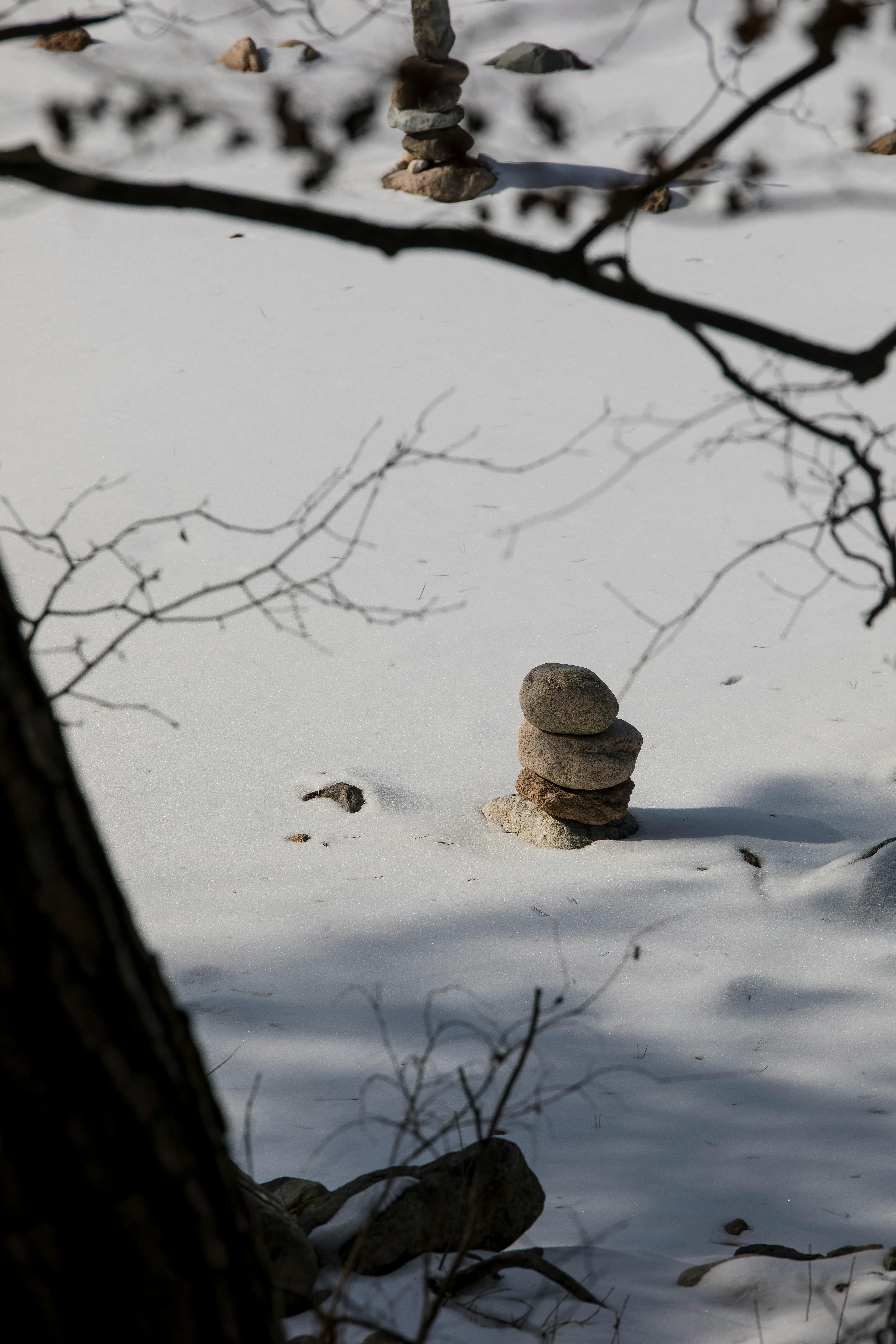 Stack Of Weed Photos, Download The BEST Free Stack Of Weed Stock Photos ...