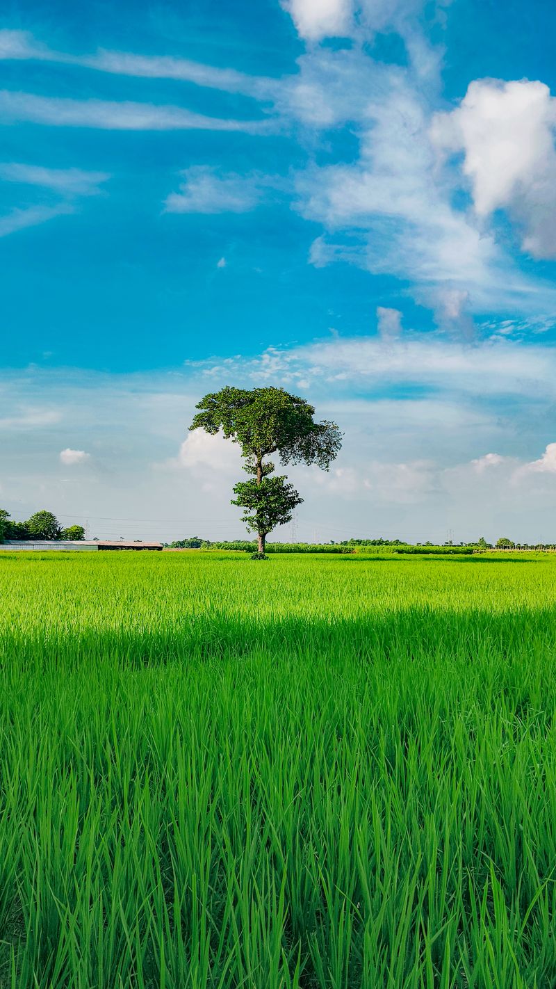 Free Download Jpg Images Photos, Download The BEST Free Free Download ...