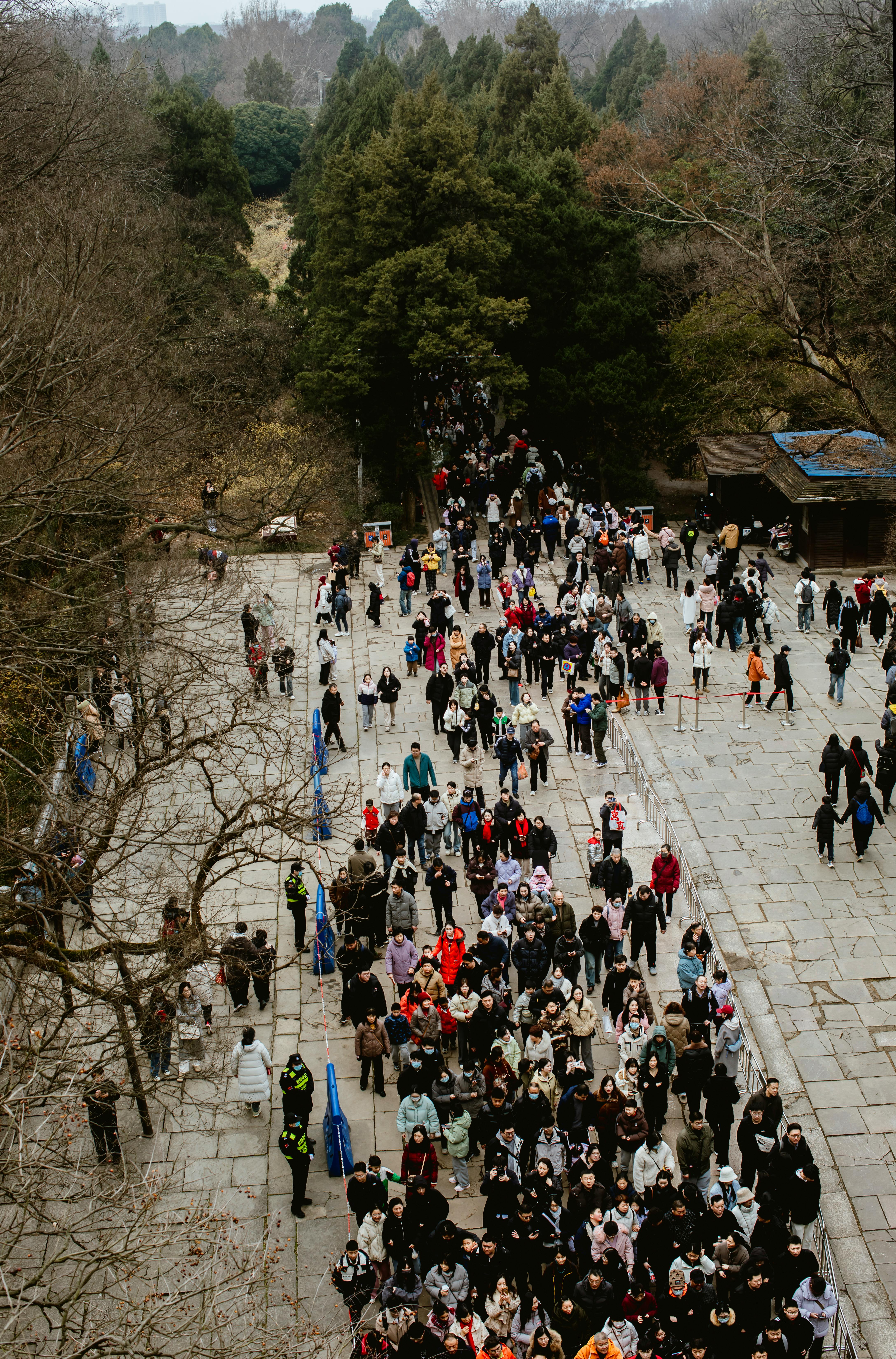 Step Liar Photos, Download The BEST Free Step Liar Stock Photos & HD Images