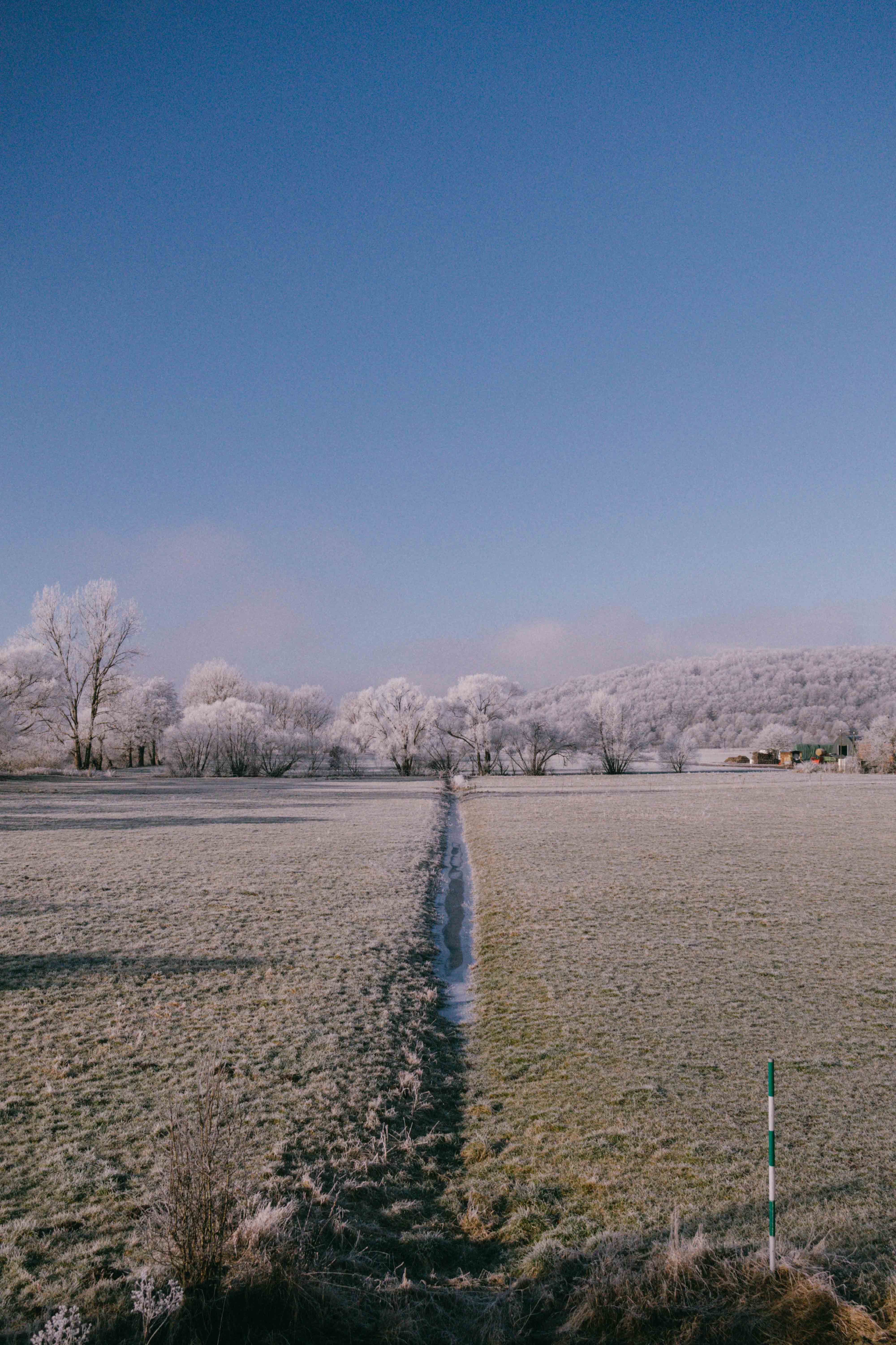 Frosty Winter Landscape with Clear Blue Sky · Free Stock Photo