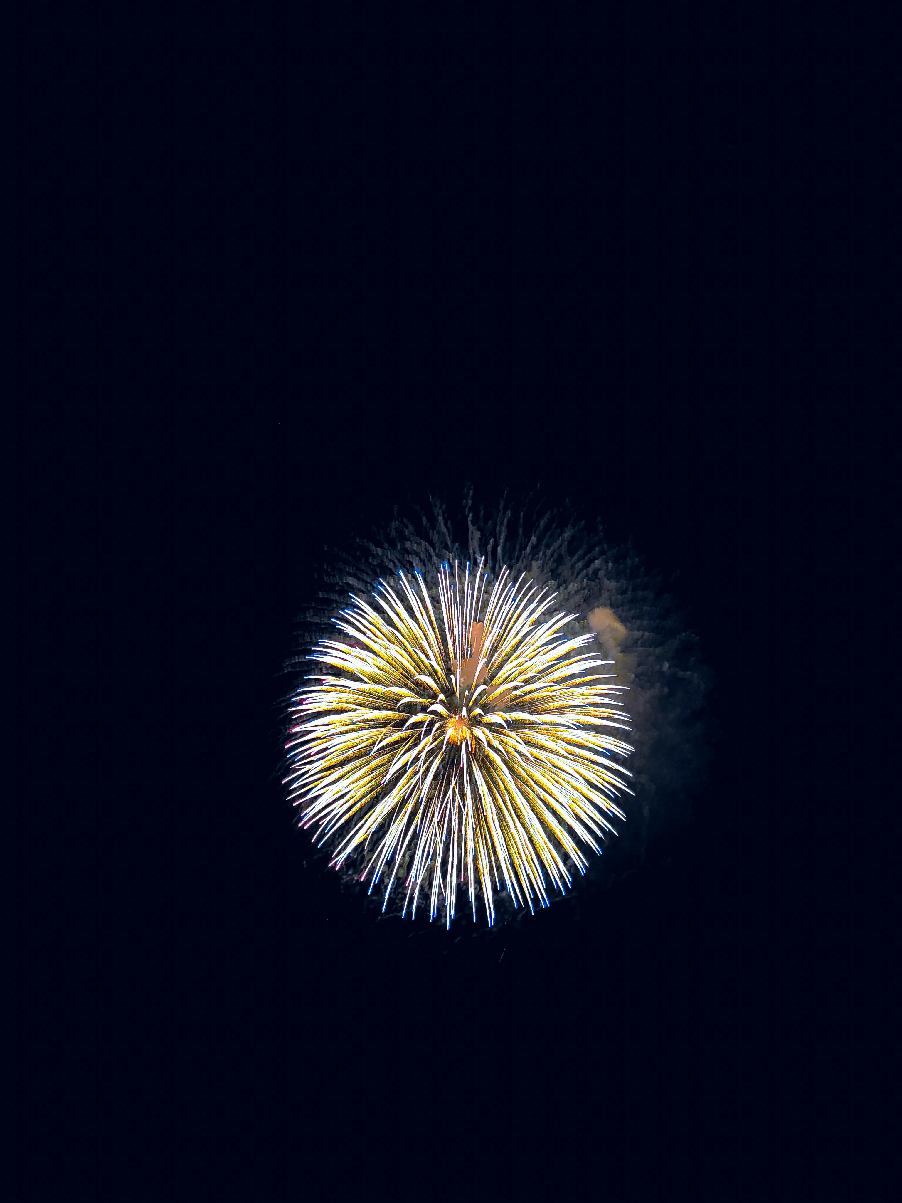 Colorful Firework Explosion in Night Sky · Free Stock Photo