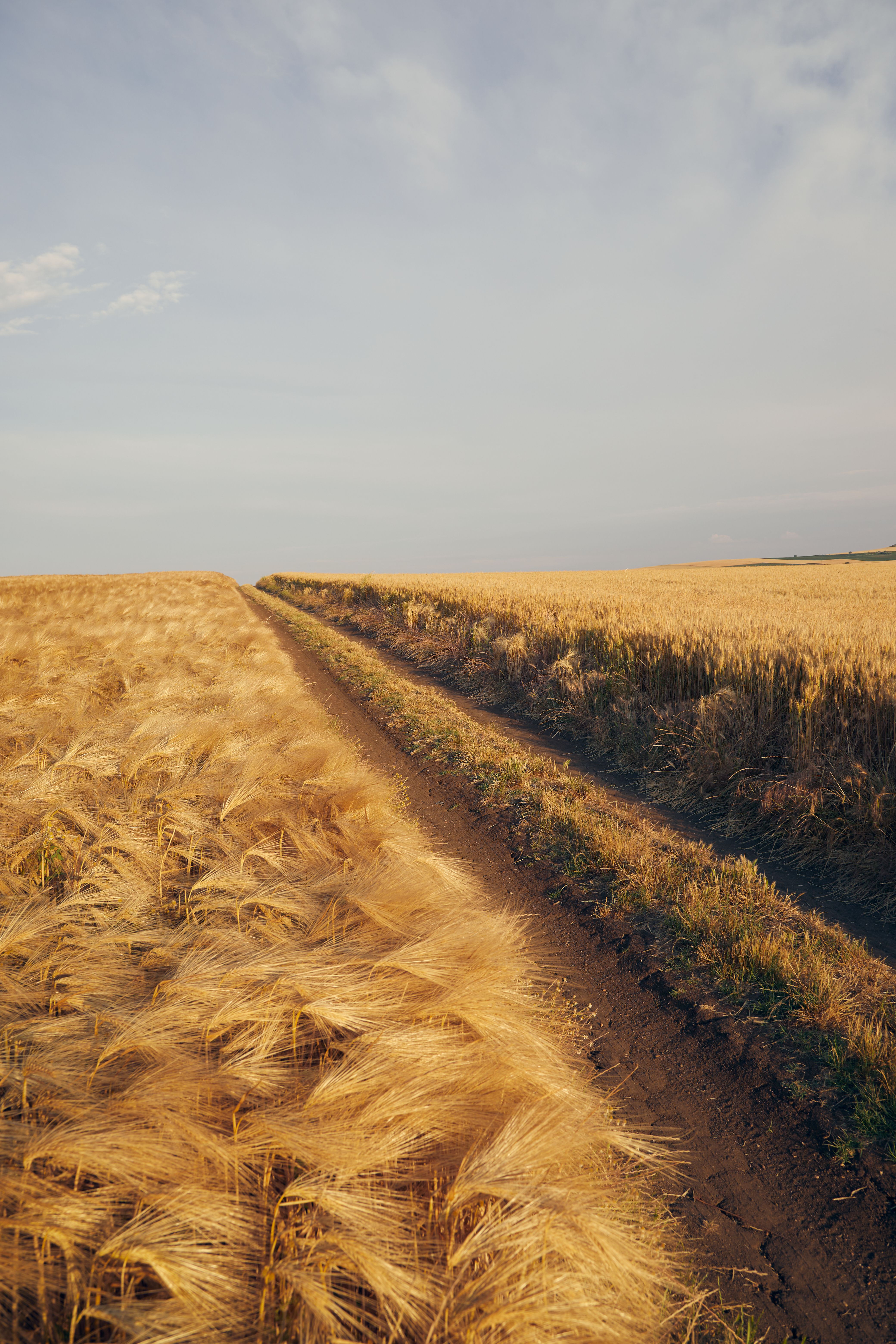 Expansive Plains Photos, Download The BEST Free Expansive Plains Stock ...