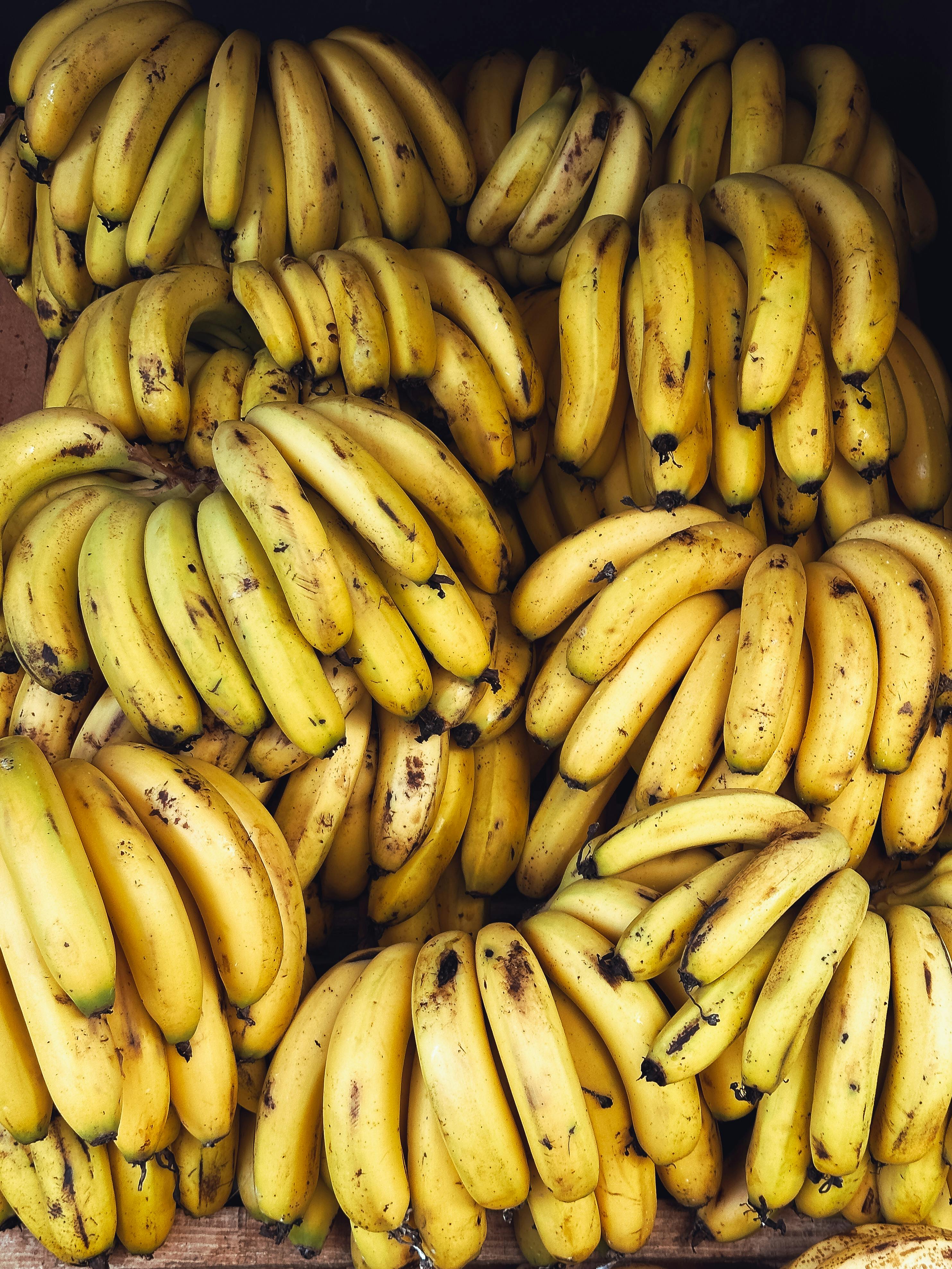 Pisang Kuning Segar Dipajang Di Pasar · Foto Stok Gratis