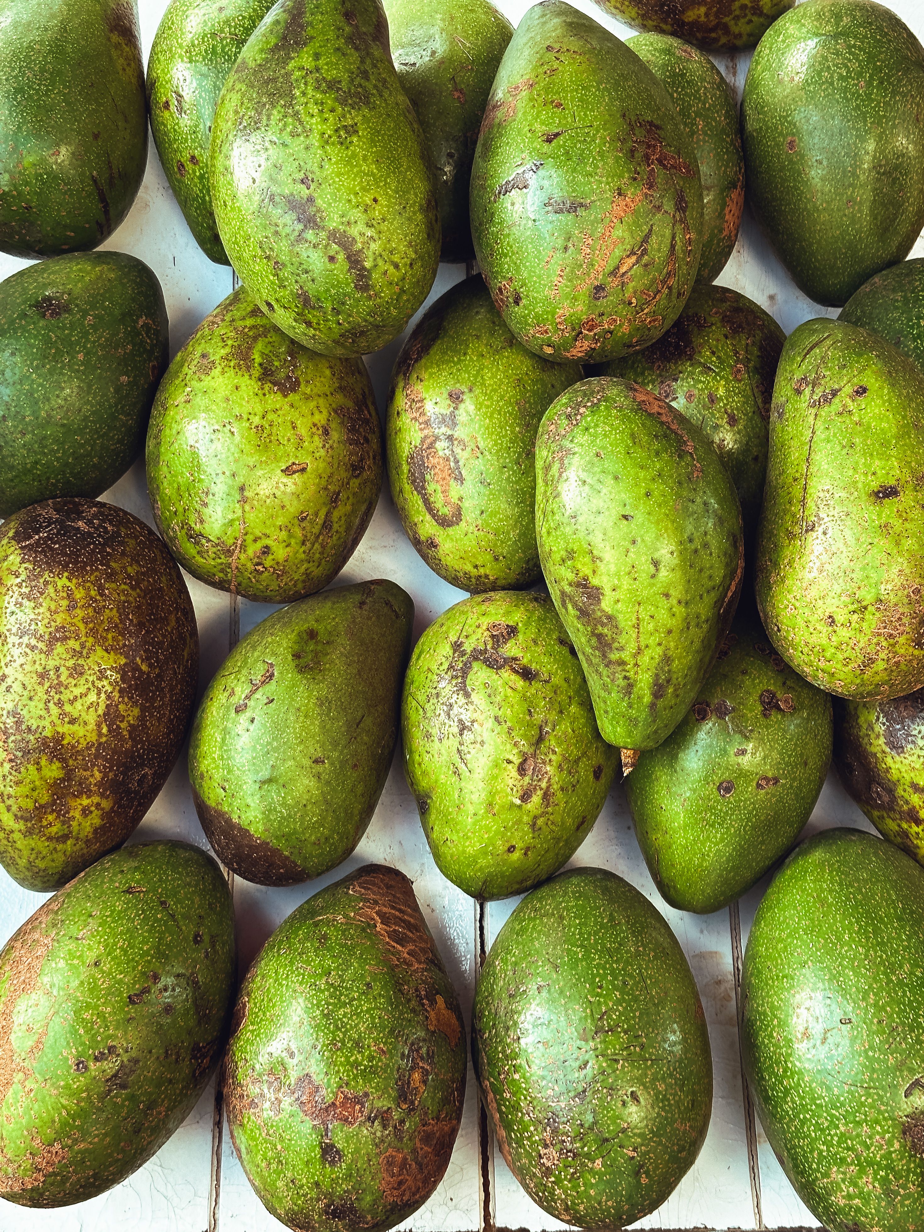 Avocado Skin Photos, Download The BEST Free Avocado Skin Stock Photos ...