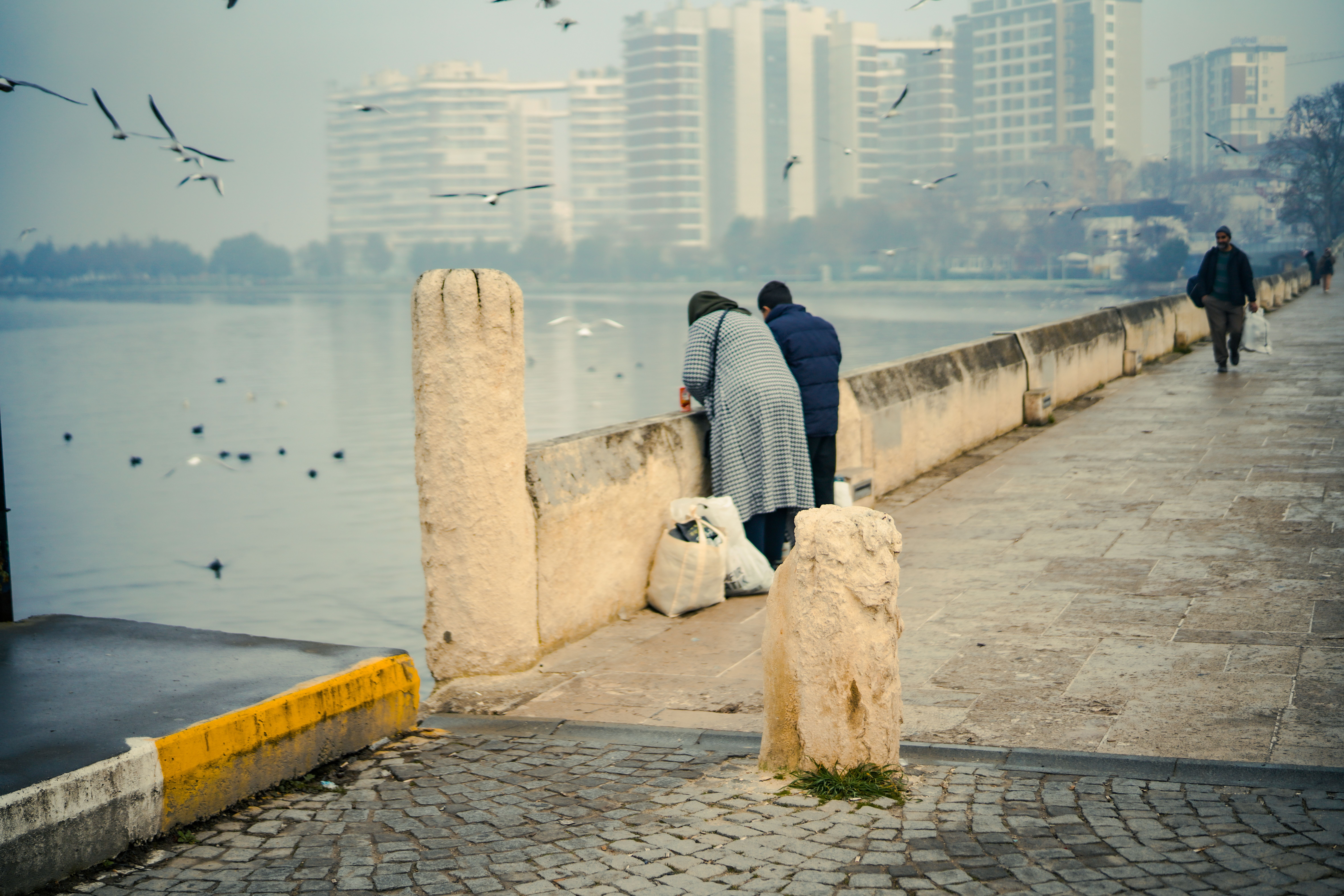 Peaceful lakeside walkway with people and birds · Free Stock Photo