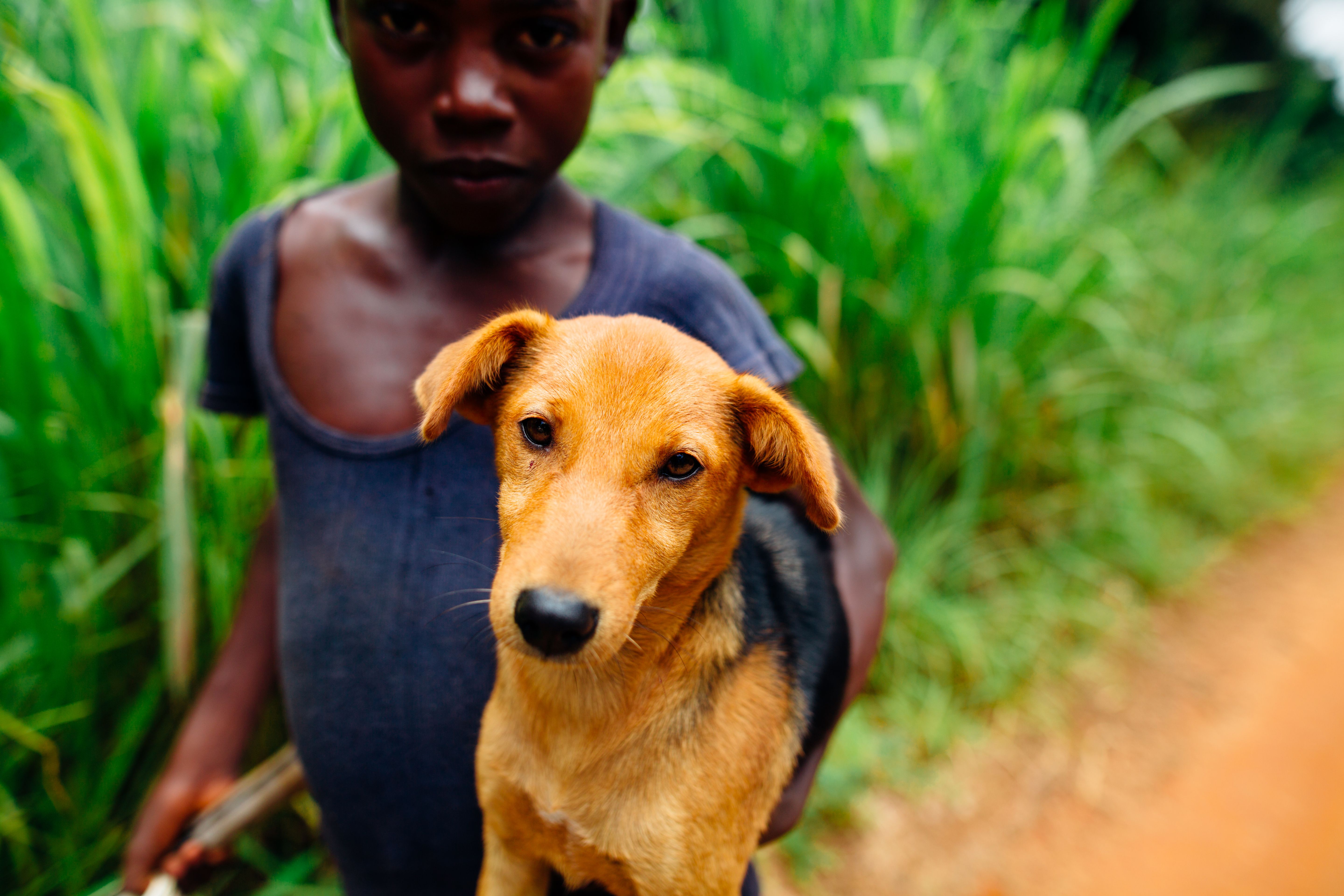 Photo of Kid Carrying Brown Dog · Free Stock Photo