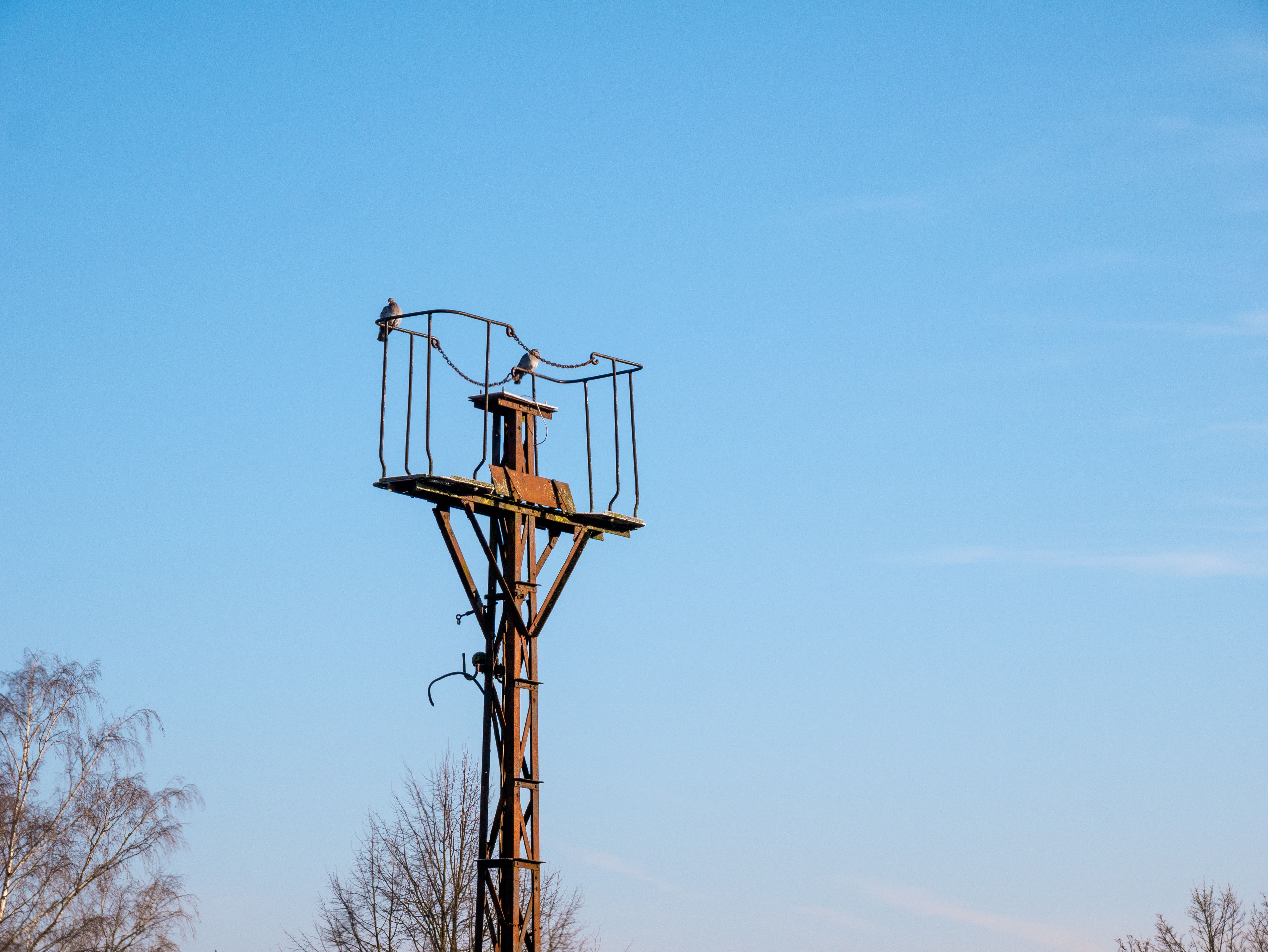 Birds perched on rustic metal tower against clear sky · Free Stock Photo