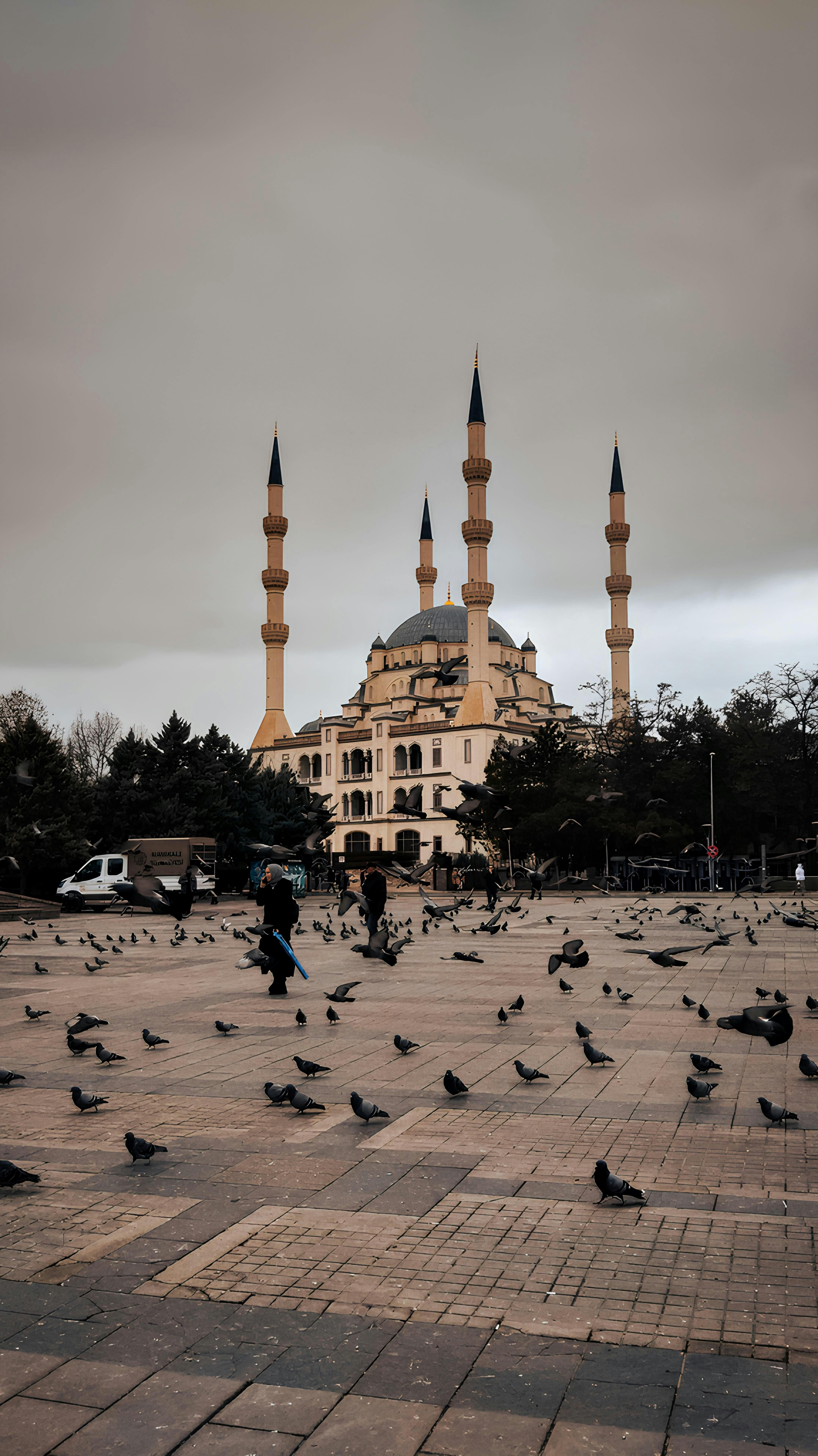 Beautiful Mosque in Kırıkkale Turkey with Pigeons · Free Stock Photo