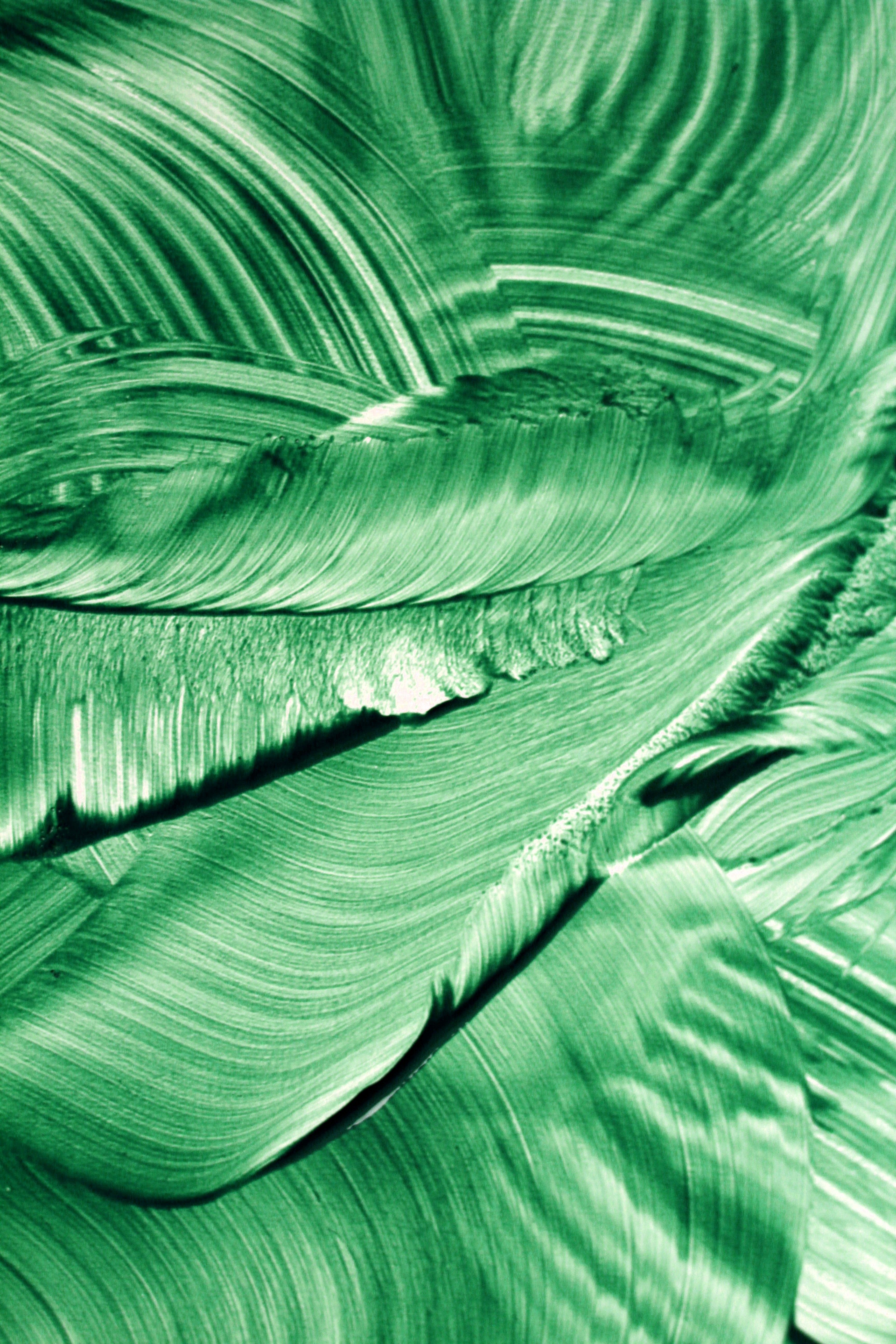 Abstract Green Brush Stroke Texture Artwork · Free Stock Photo