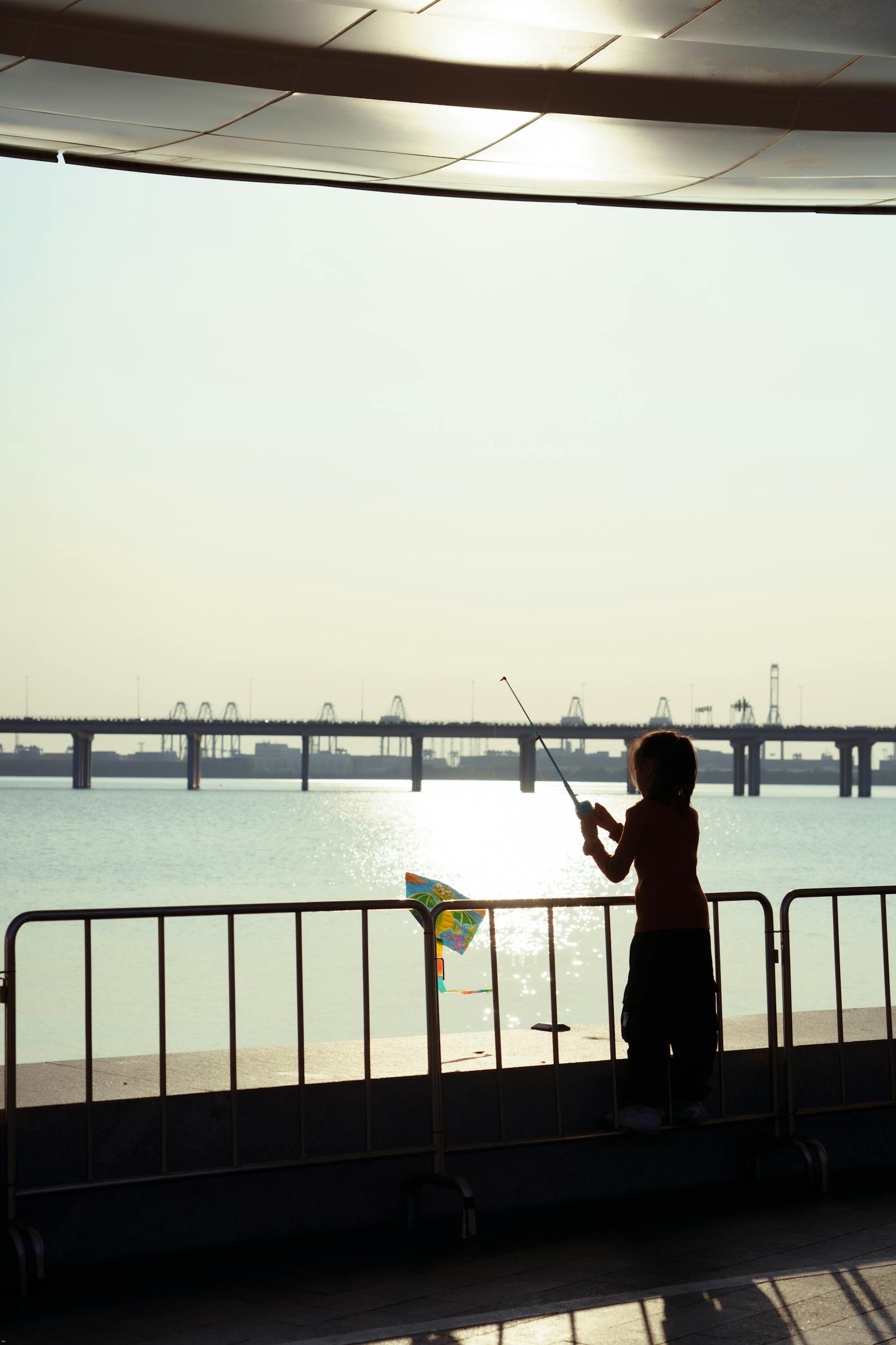 Kite Images Photos, Download The BEST Free Kite Images Stock Photos ...