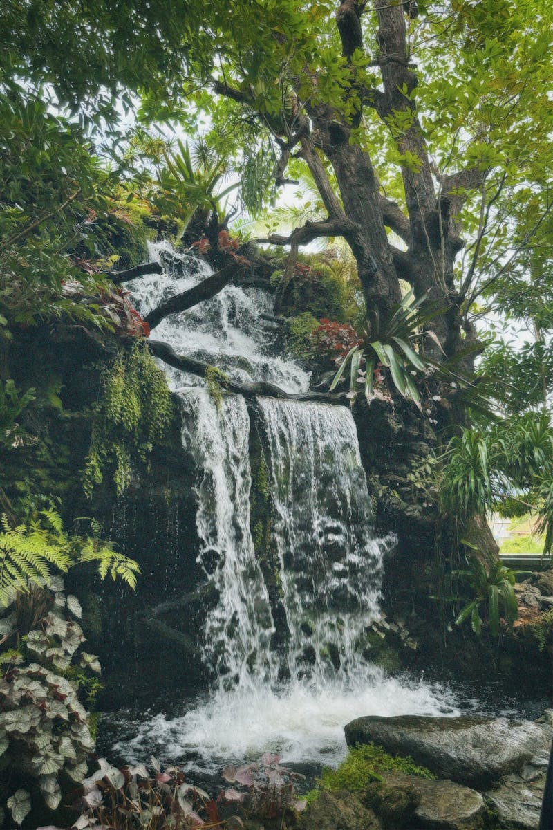 Small Waterfall Photos, Download The BEST Free Small Waterfall Stock ...