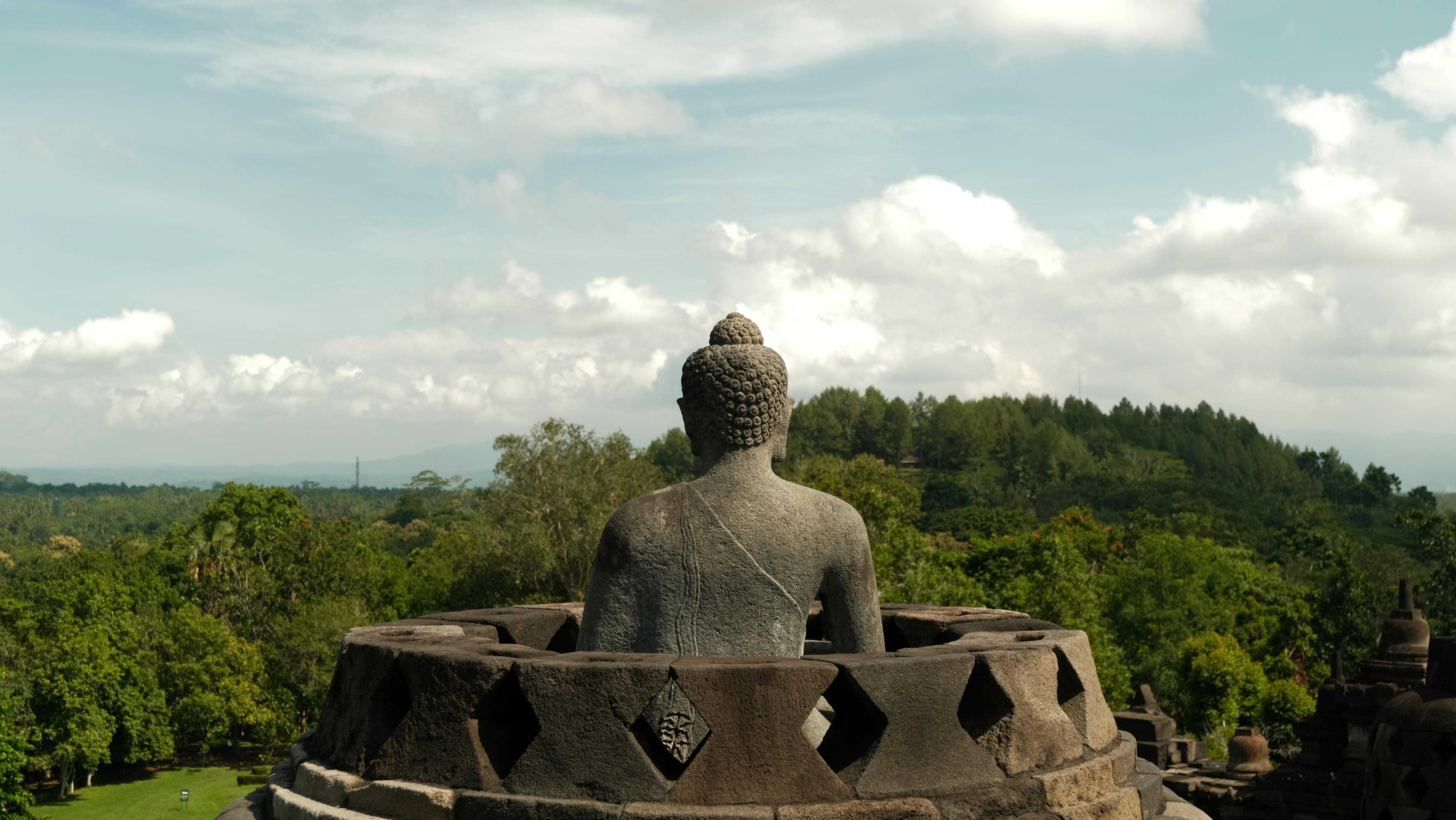 Buddha Statue Overlooking Lush Landscape at Borobudur · Free Stock Photo