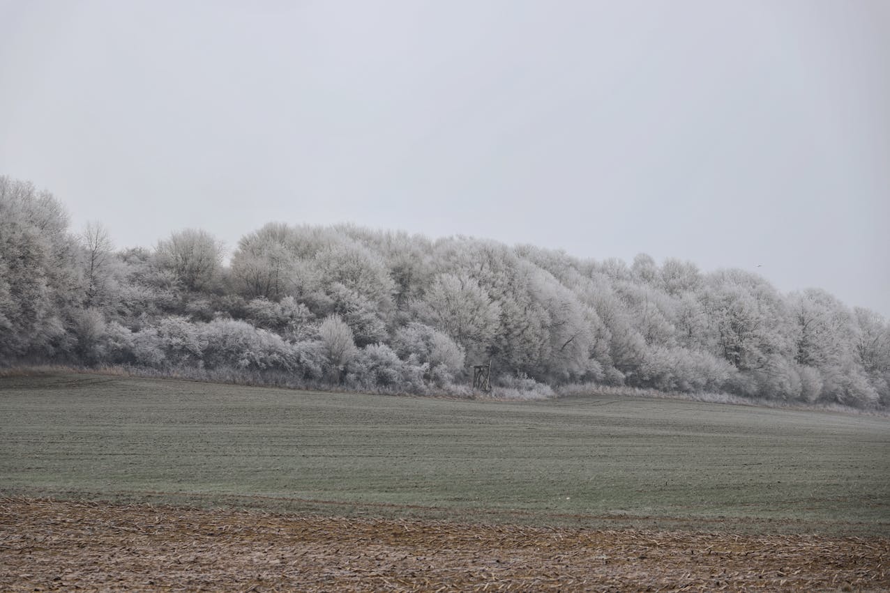 Frost Bank Personal Checking and Savings Account Details