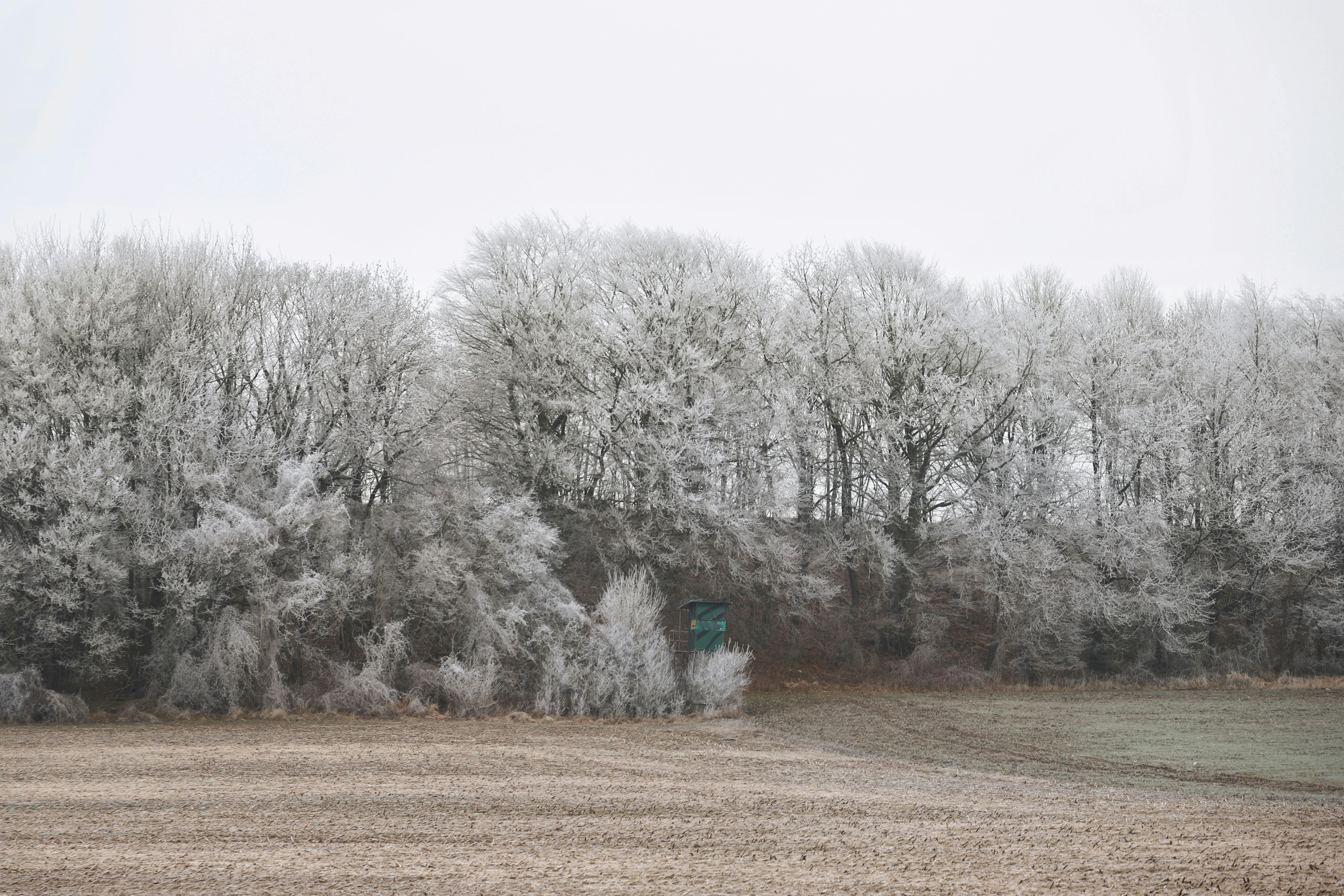 Ambient Fog Photos, Download The BEST Free Ambient Fog Stock Photos ...