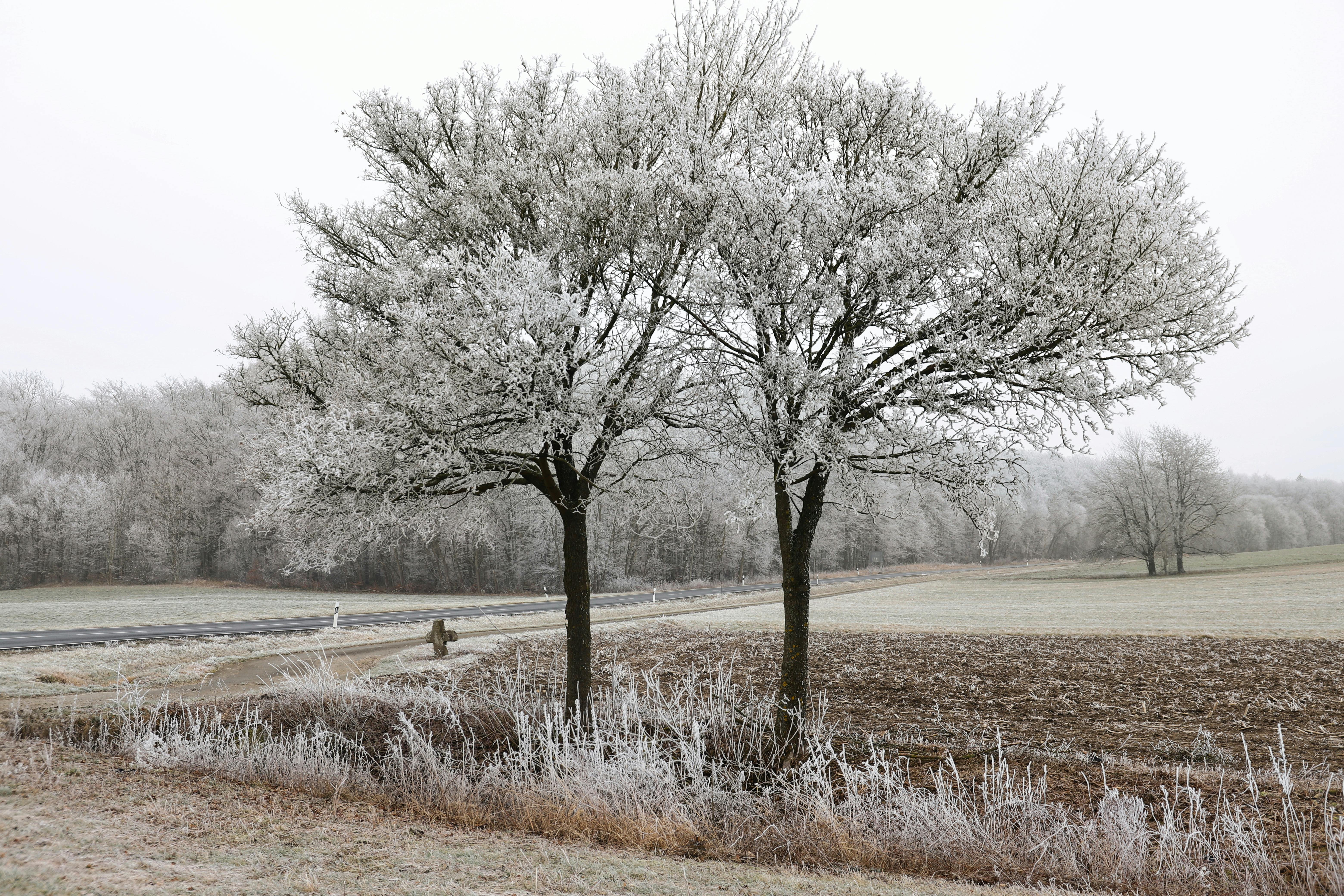 Plain Packet Photos, Download The BEST Free Plain Packet Stock Photos ...