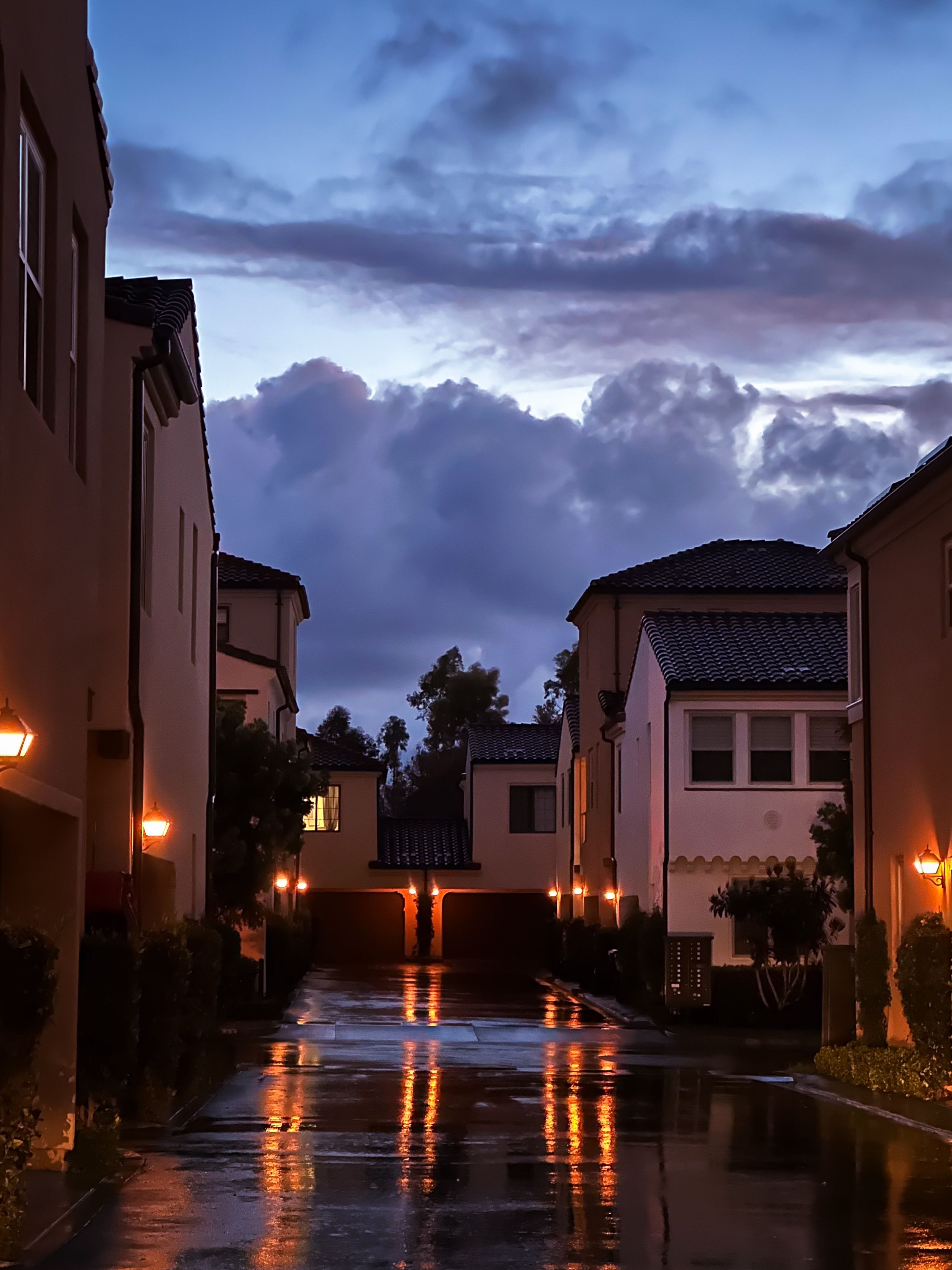 Tranquil Neighborhood at Night with Wet Streets · Free Stock Photo