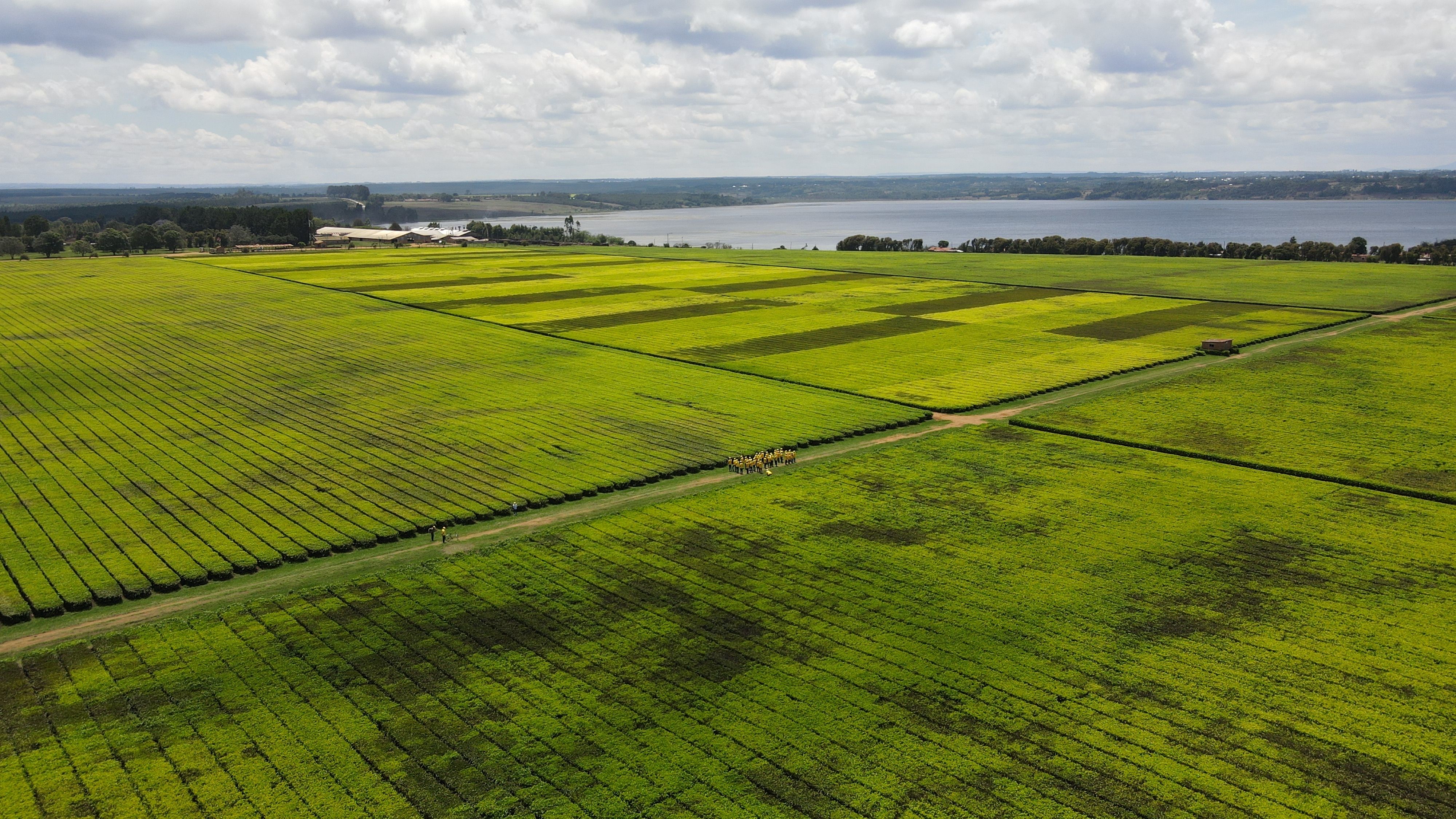 Remote Farm Photos, Download The BEST Free Remote Farm Stock Photos ...