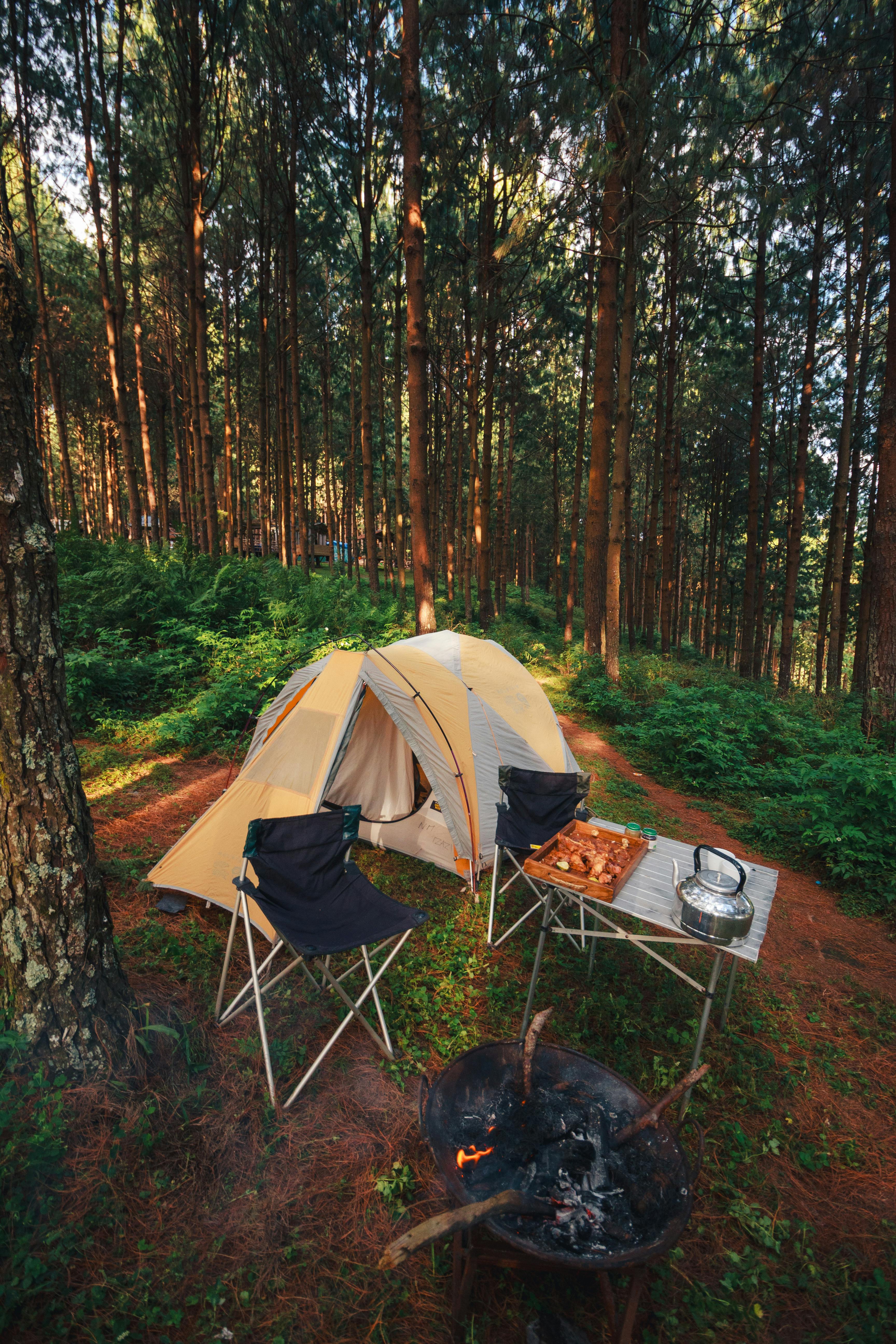 Forest Camping Setup with Tent and Campfire · Free Stock Photo