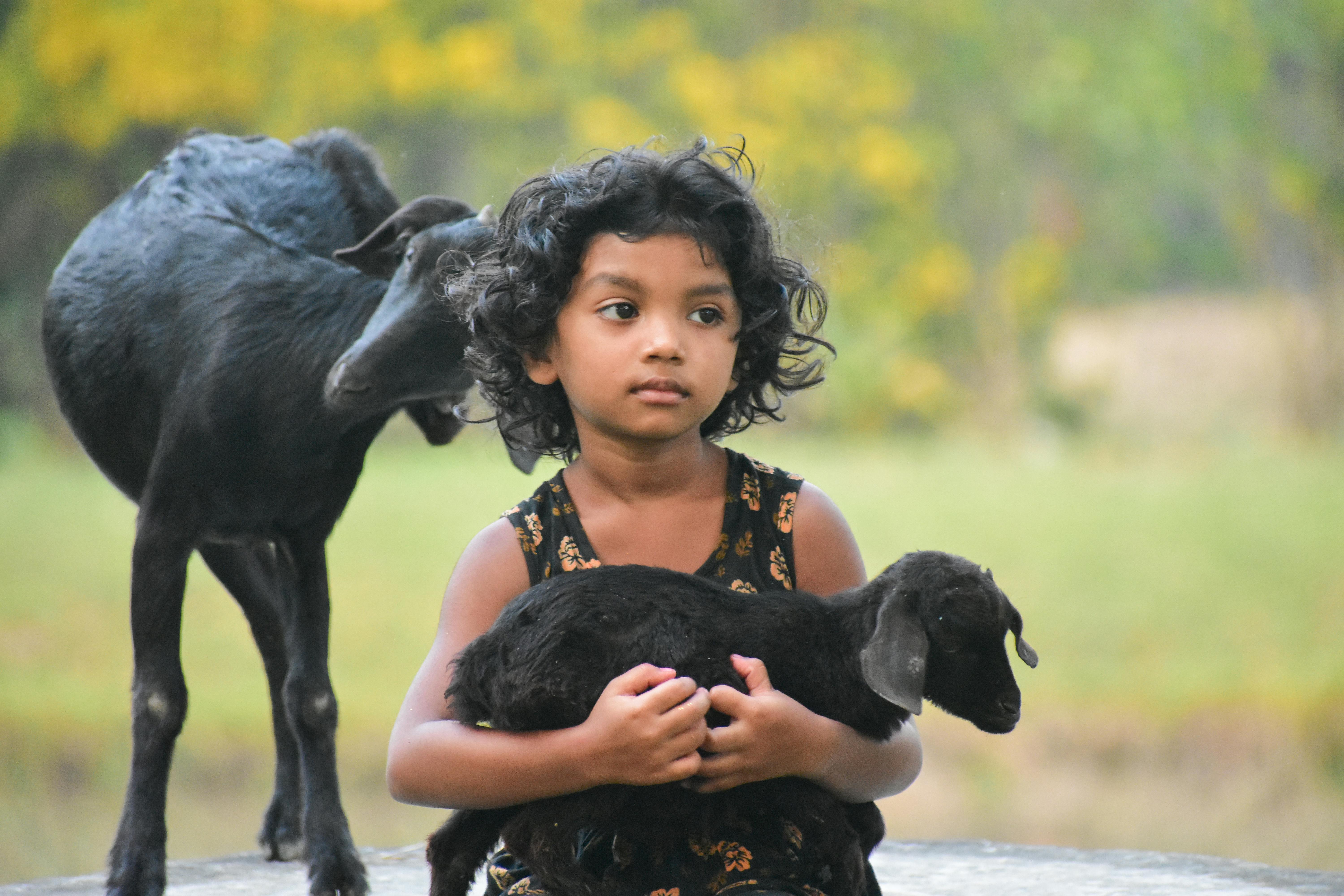 Child Embracing Goat Outdoors in Bangladesh · Free Stock Photo