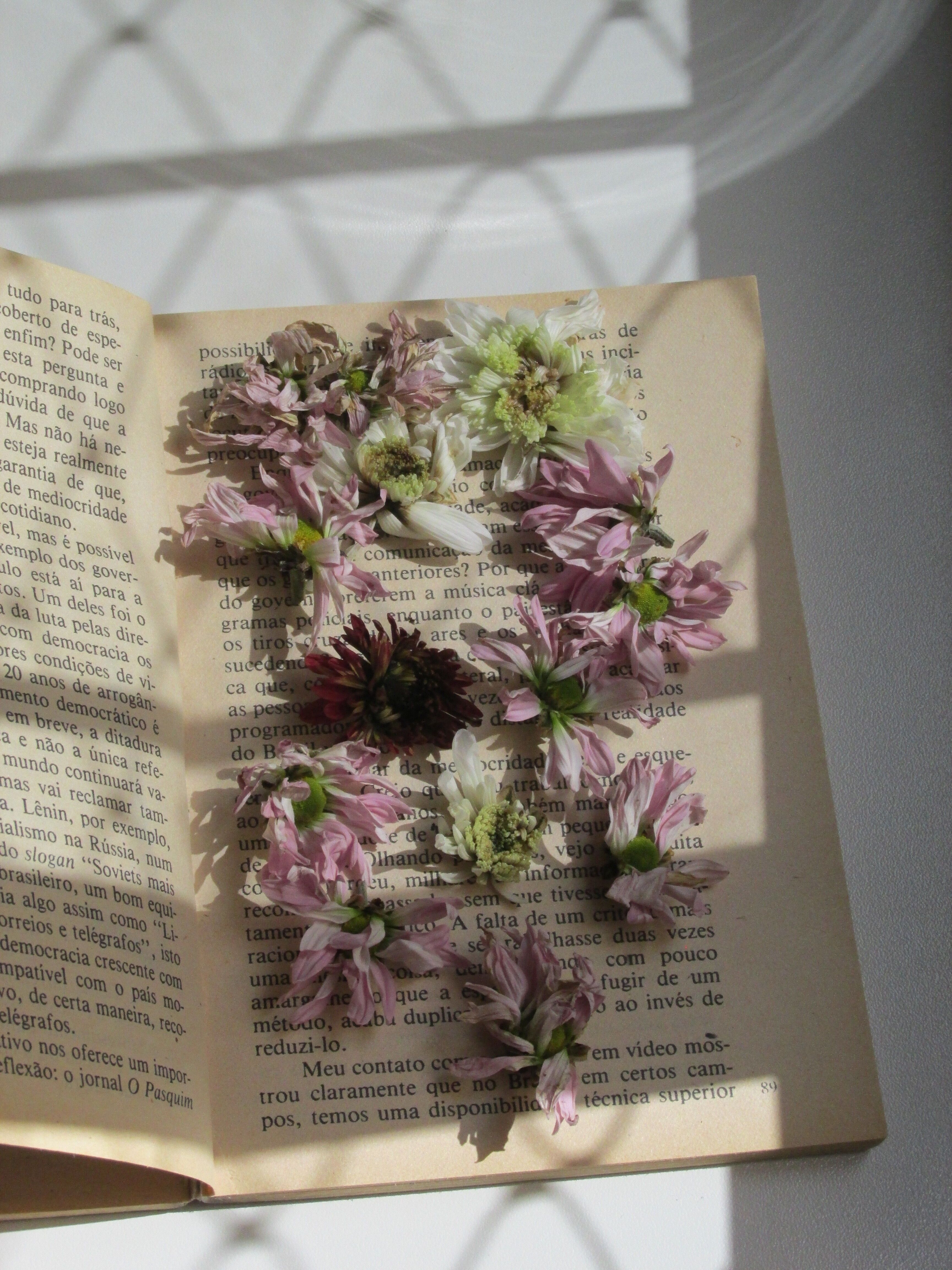 Blue Flowers on Book · Free Stock Photo