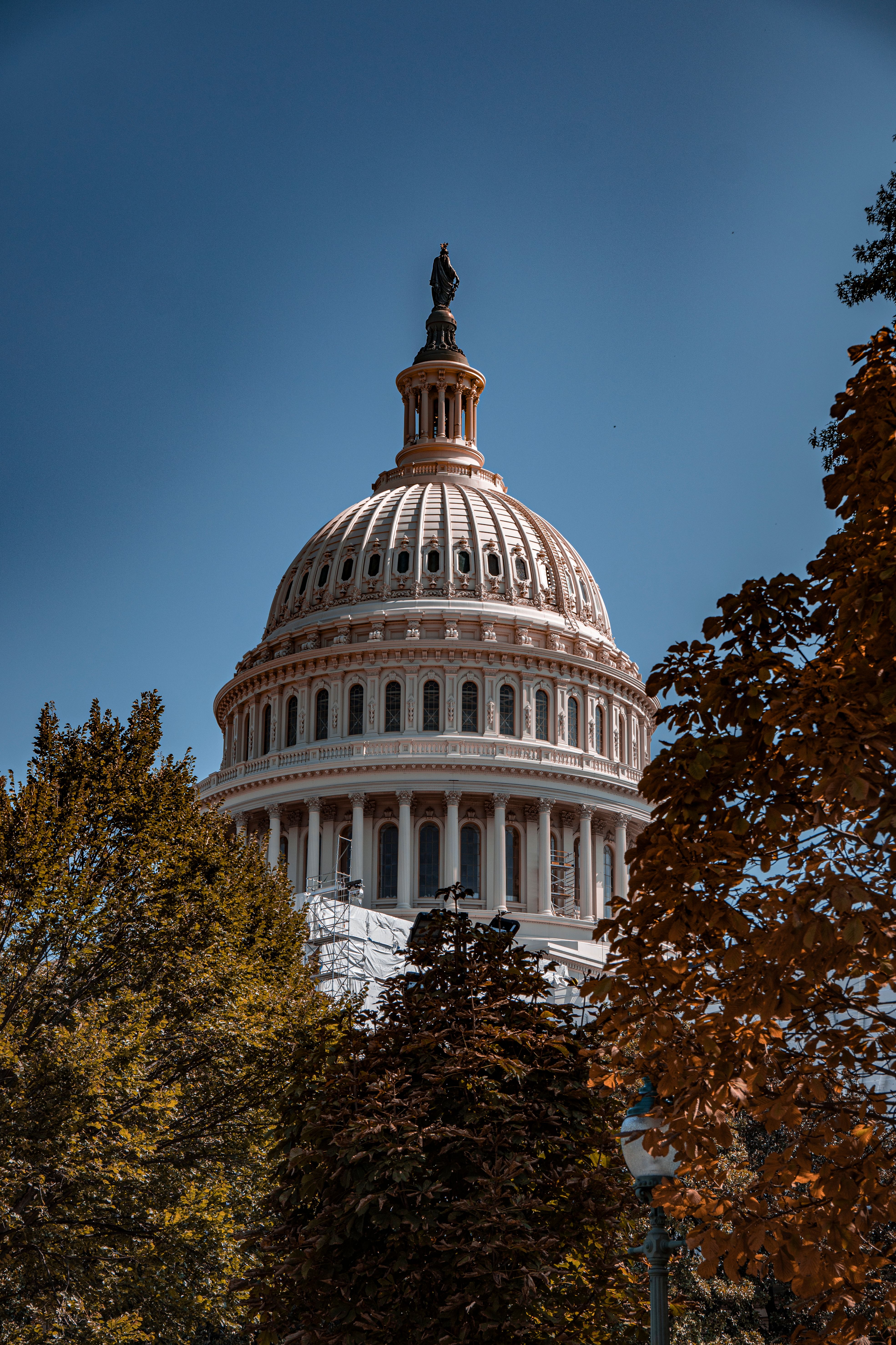 US Capitol Building Dome in Washington D.C. · Free Stock Photo