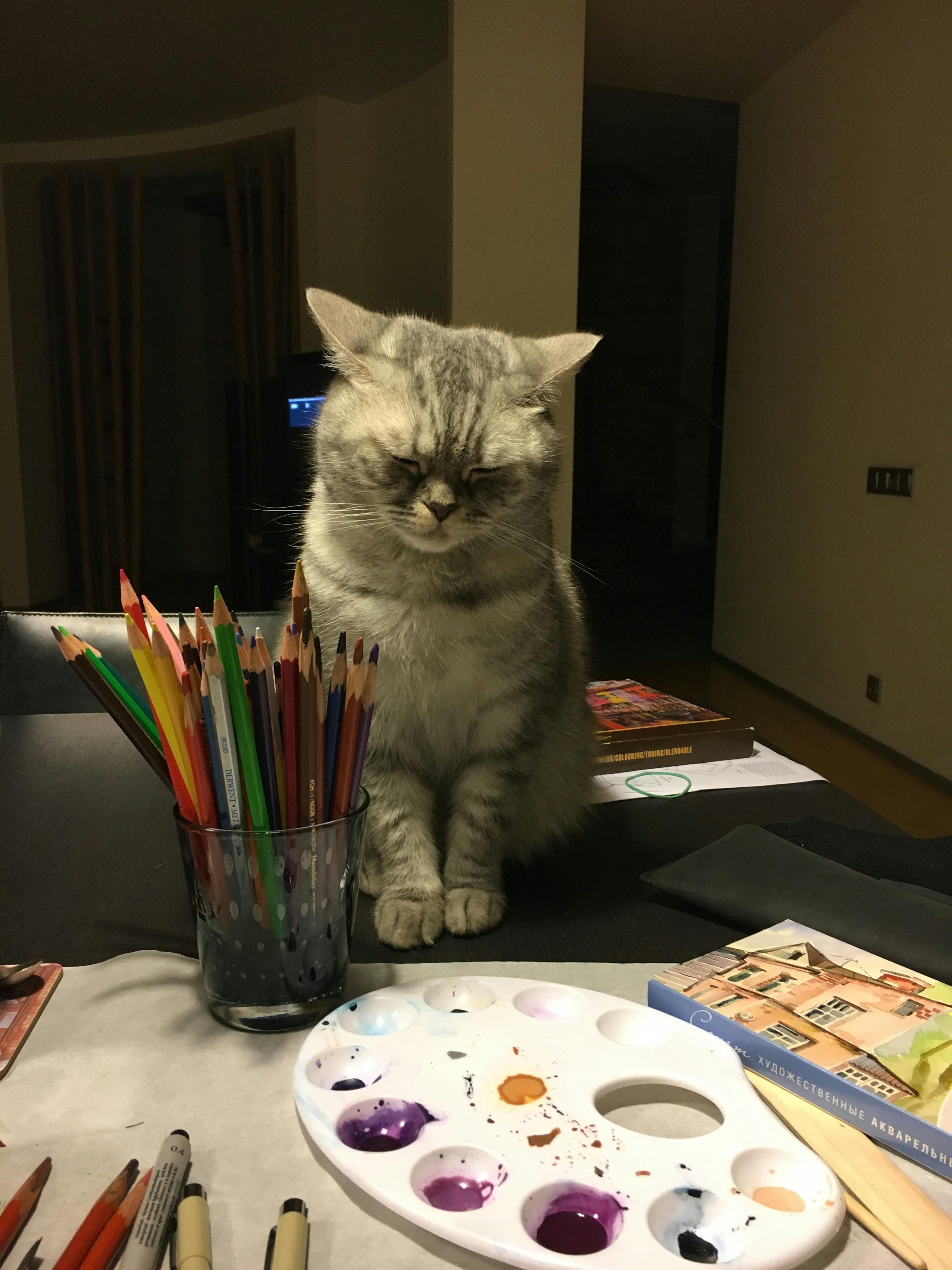 Wallpper Desktop Photos, Download The BEST Free Wallpper Desktop Stock ...