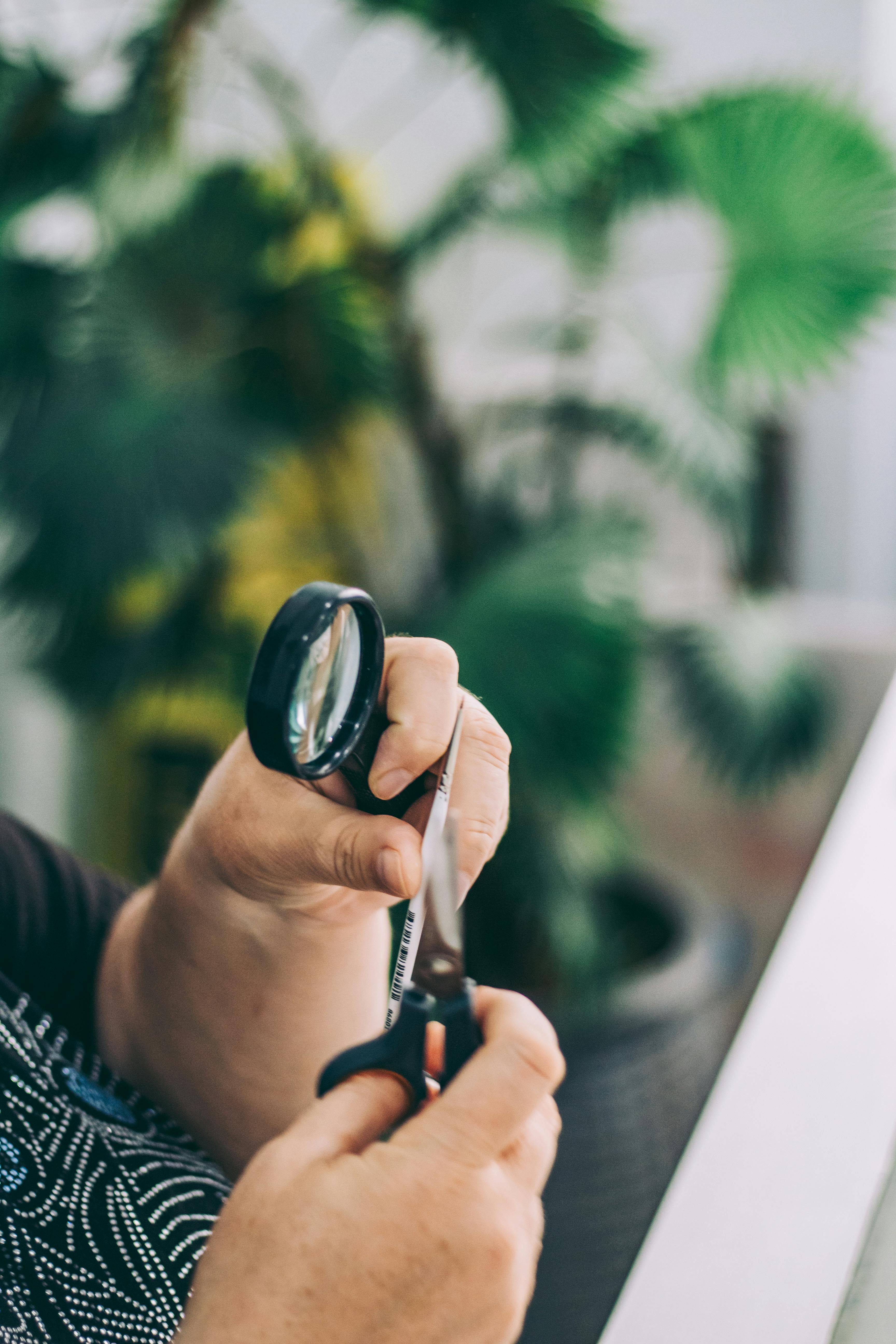 Inspection Estructural Photos, Download The BEST Free Inspection ...