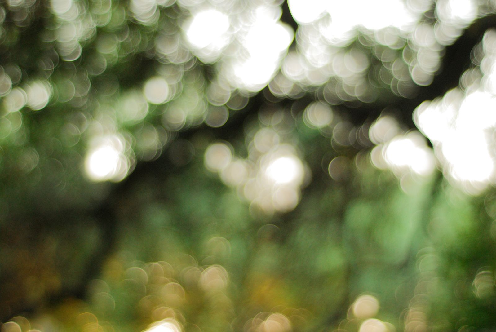 Green Screen Background Horror Photos, Download The BEST Free Green ...