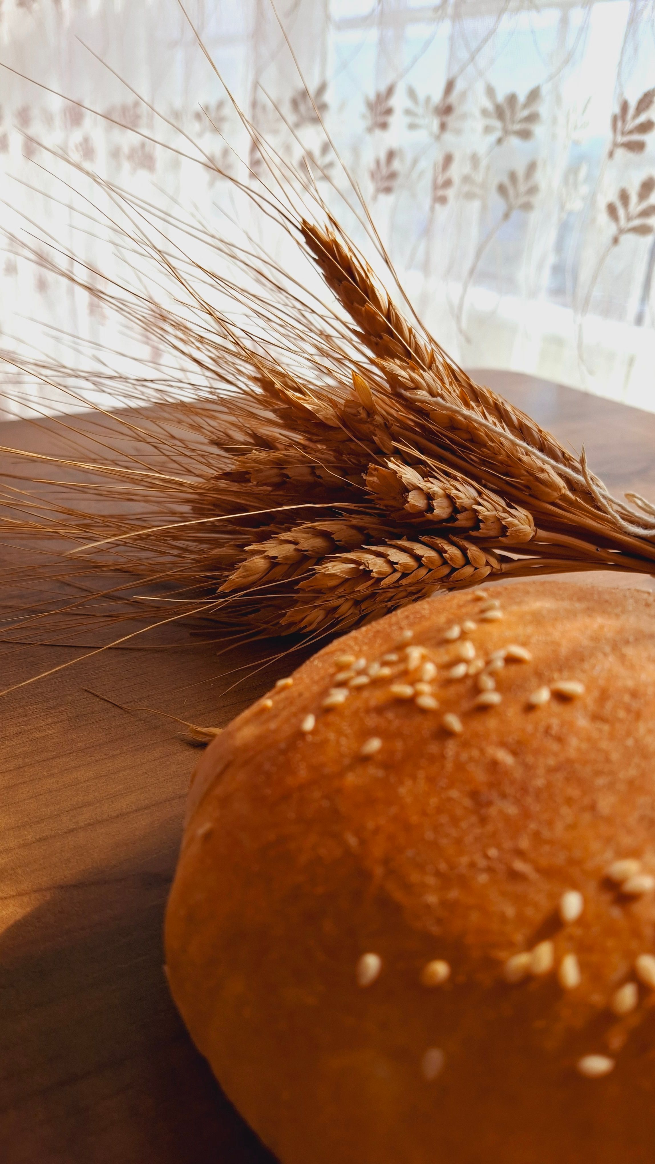 Freshly Baked Bread with Wheat Sprigs · Free Stock Photo