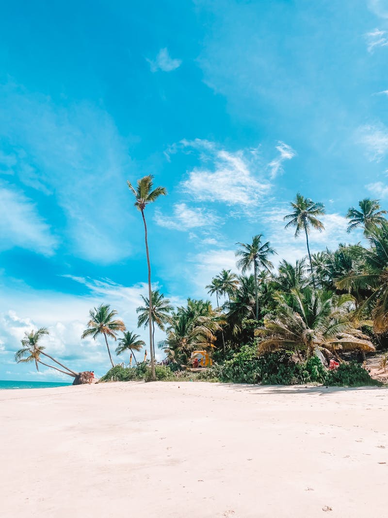 Beach Scene Photos, Download The BEST Free Beach Scene Stock Photos ...