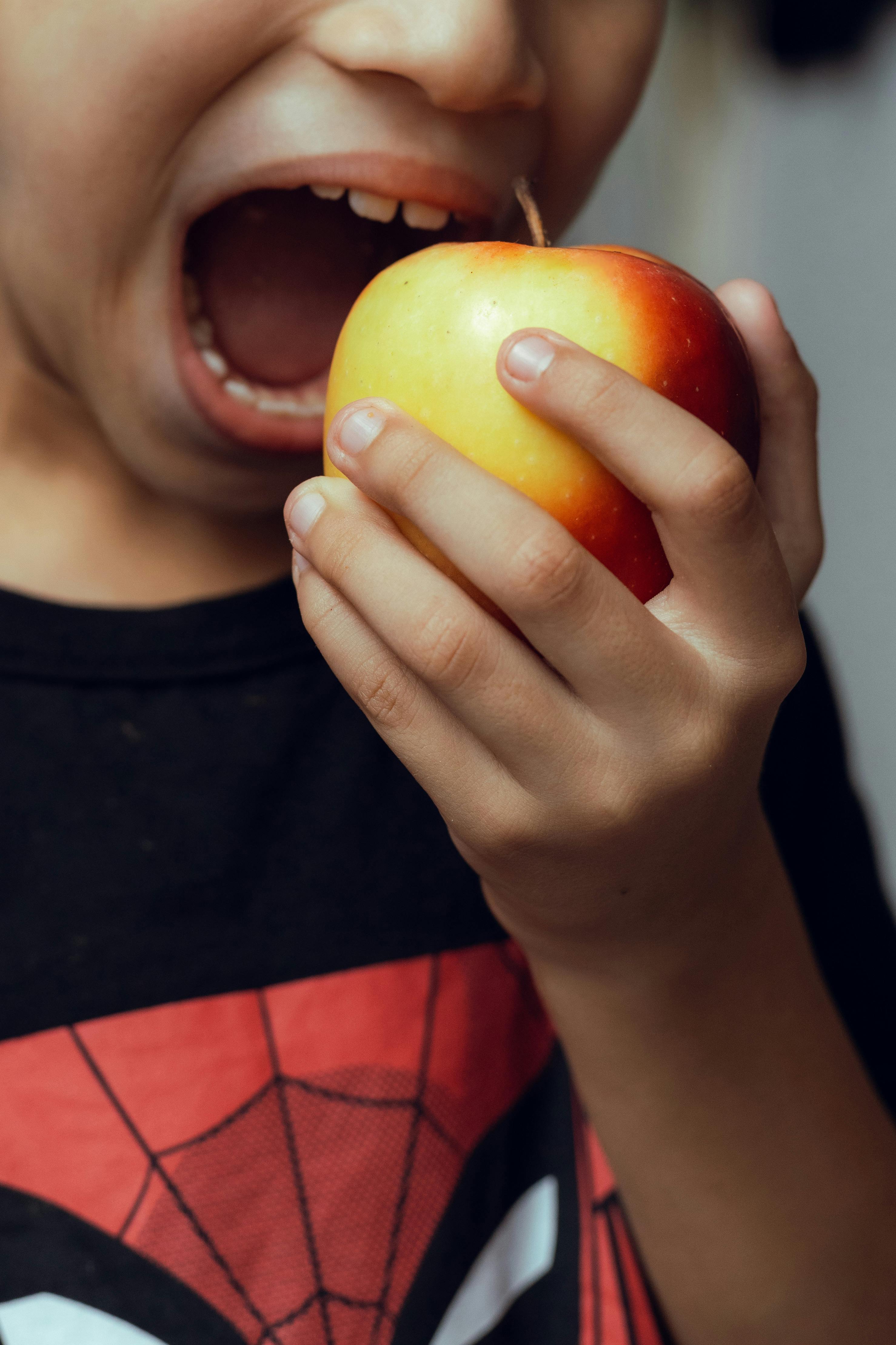 Basic Foods Photos, Download The BEST Free Basic Foods Stock Photos ...