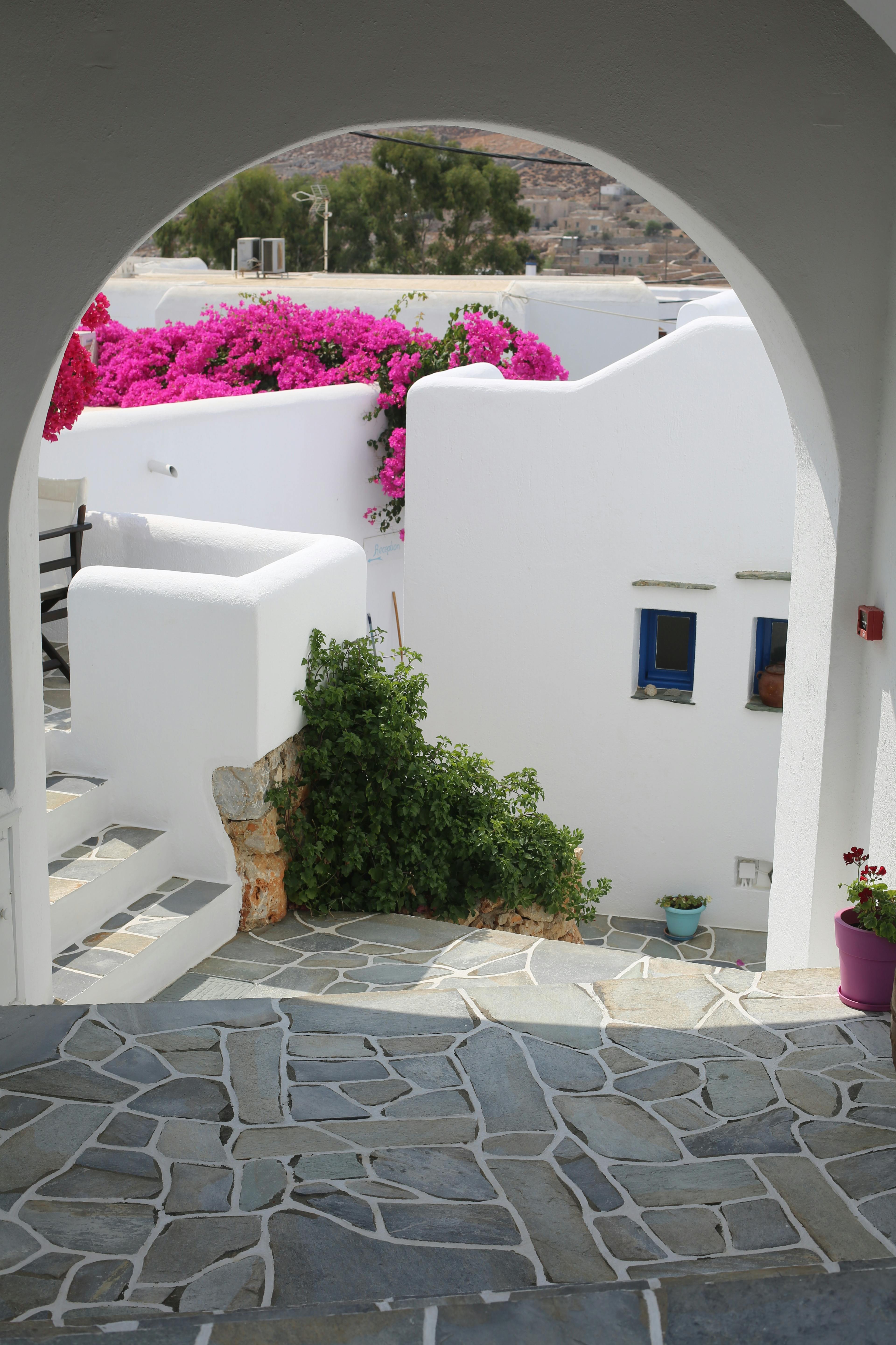 Charming Greek Island Architecture with Bougainvillea · Free Stock Photo