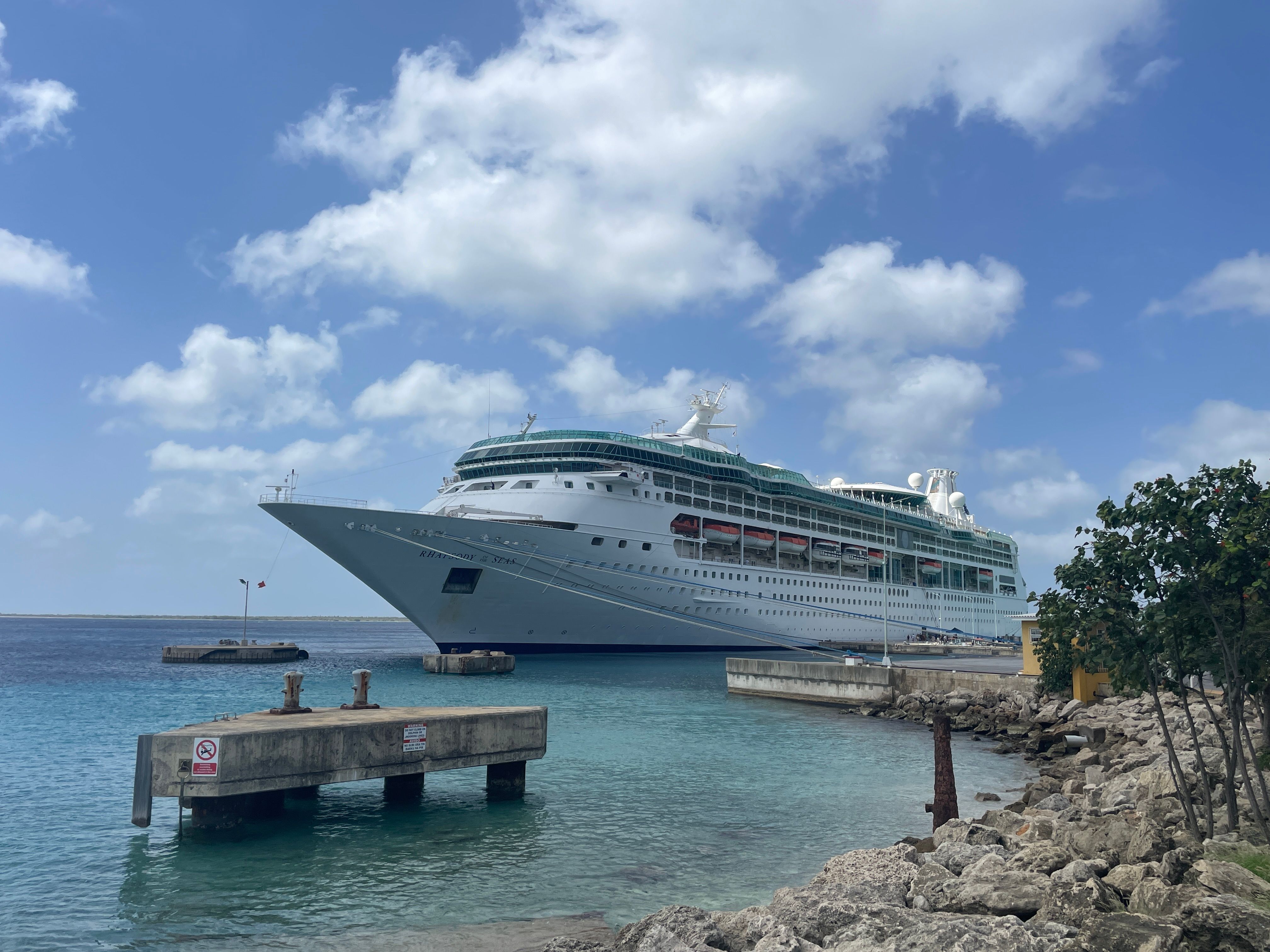 Luxury Cruise Ship Docked in Tropical Harbor · Free Stock Photo