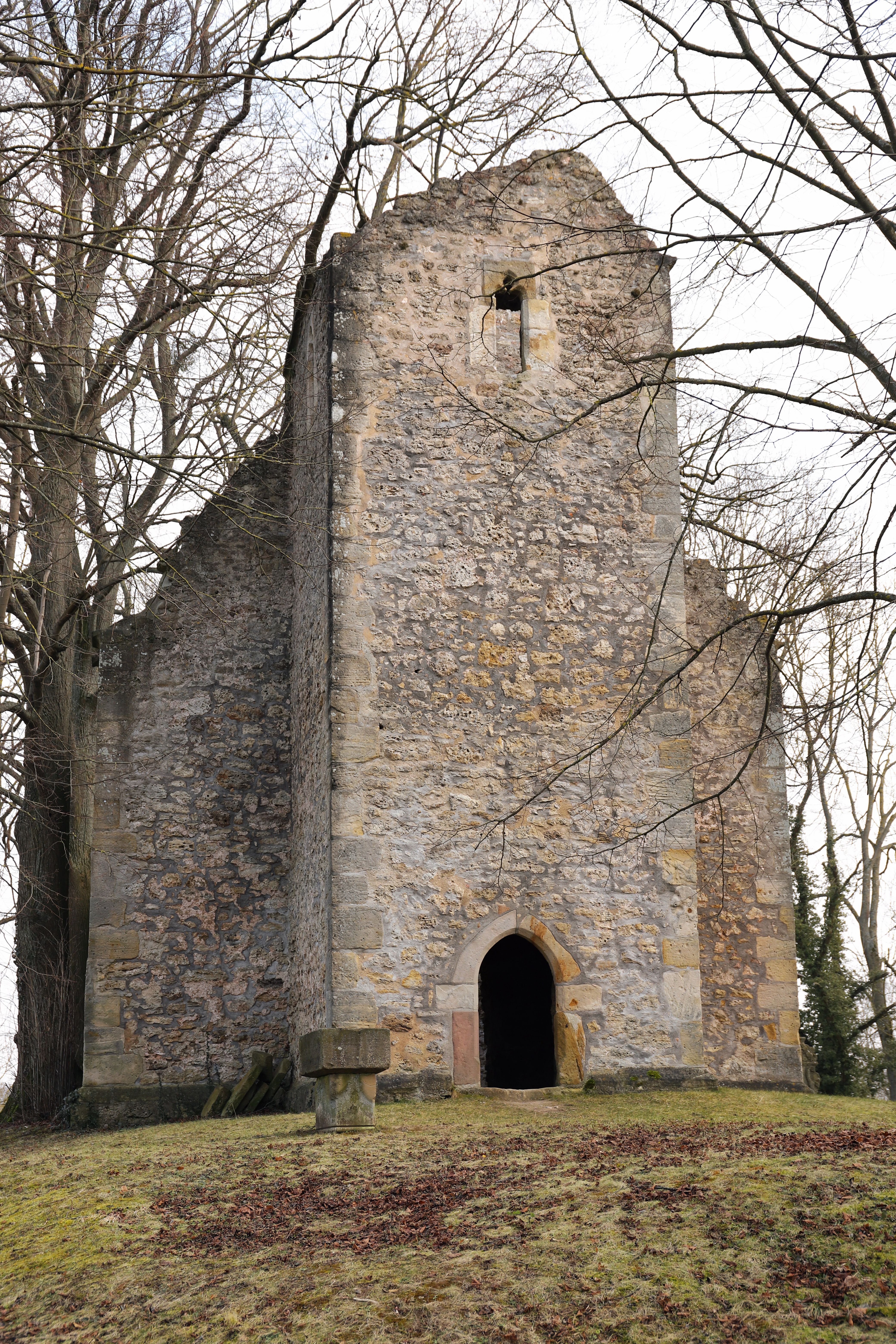 Ancient Stone Church Ruins in a Forest Setting · Free Stock Photo