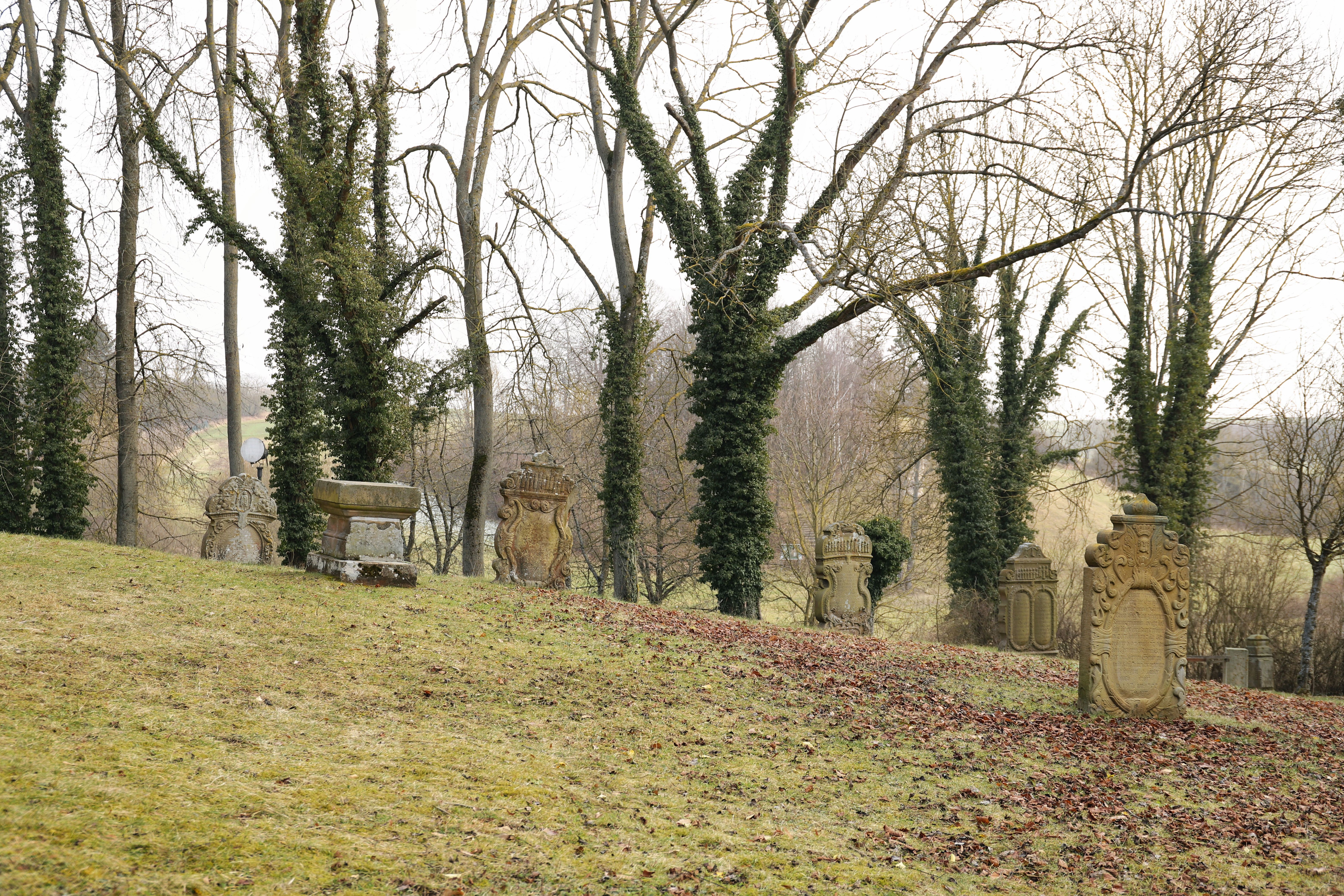 Historic Cemetery with Old Gravestones and Bare Trees · Free Stock Photo