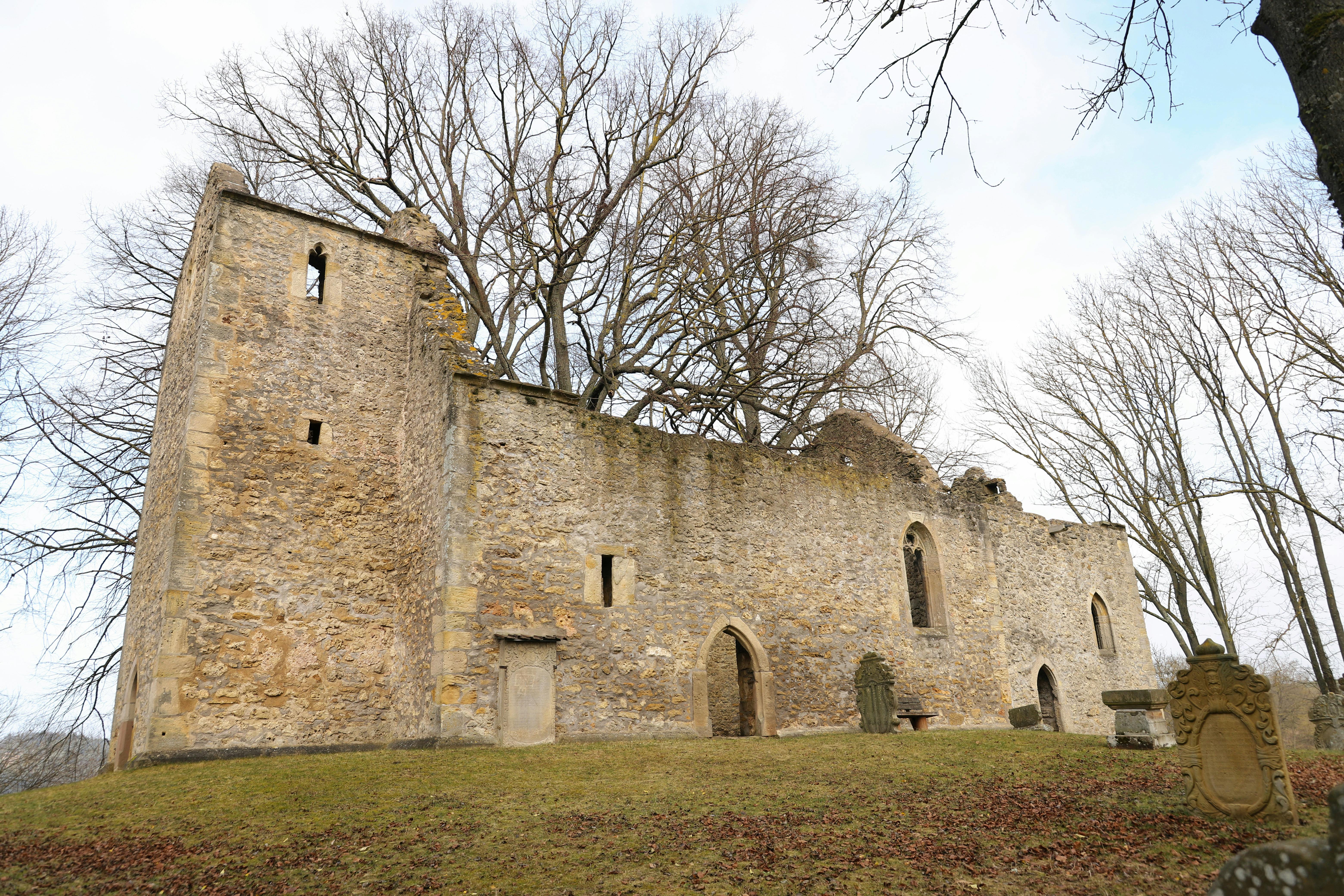 Ancient Church Ruins Surrounded by Trees · Free Stock Photo