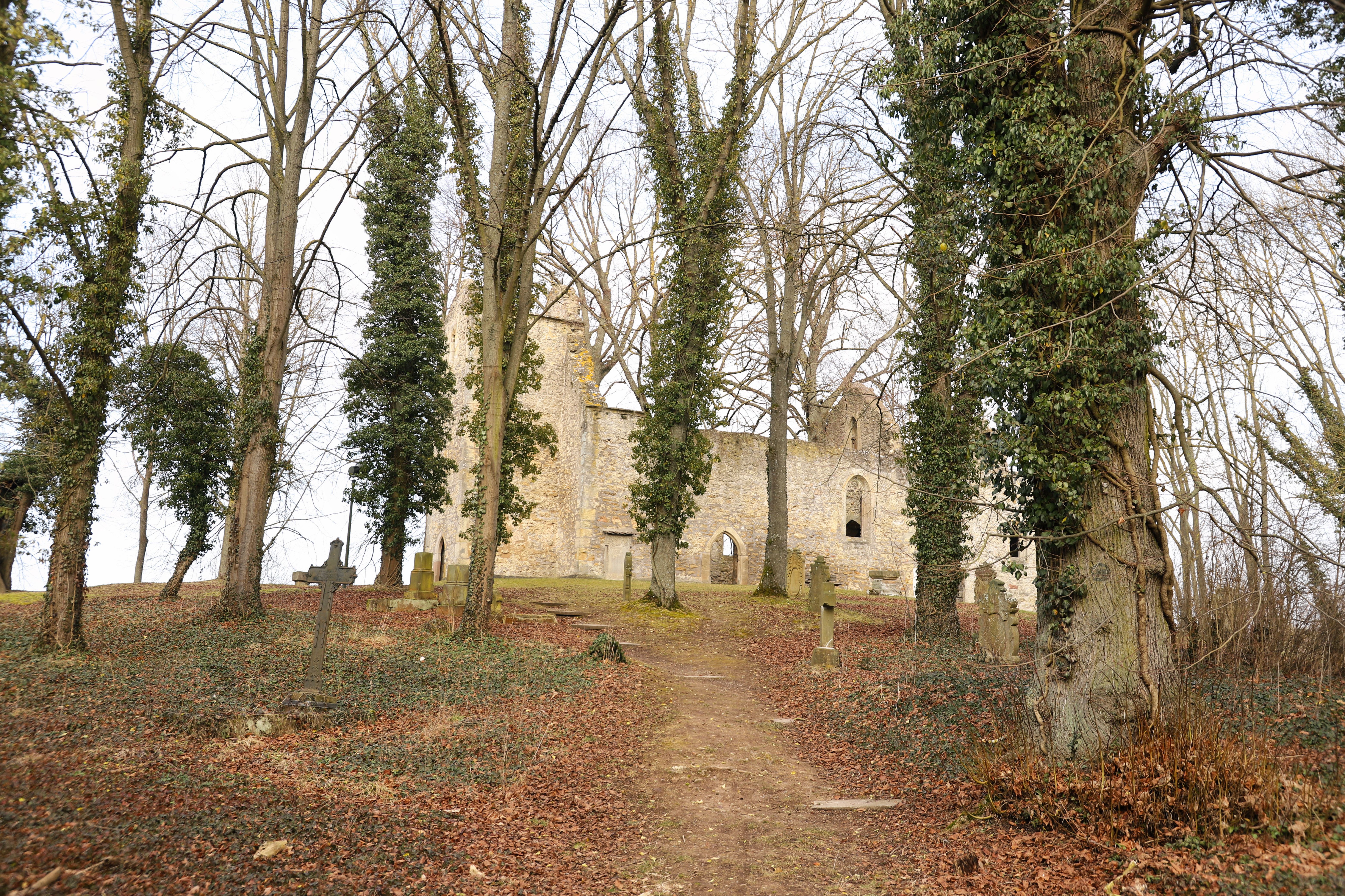 Historic Church Ruins in a Serene Forest Setting · Free Stock Photo