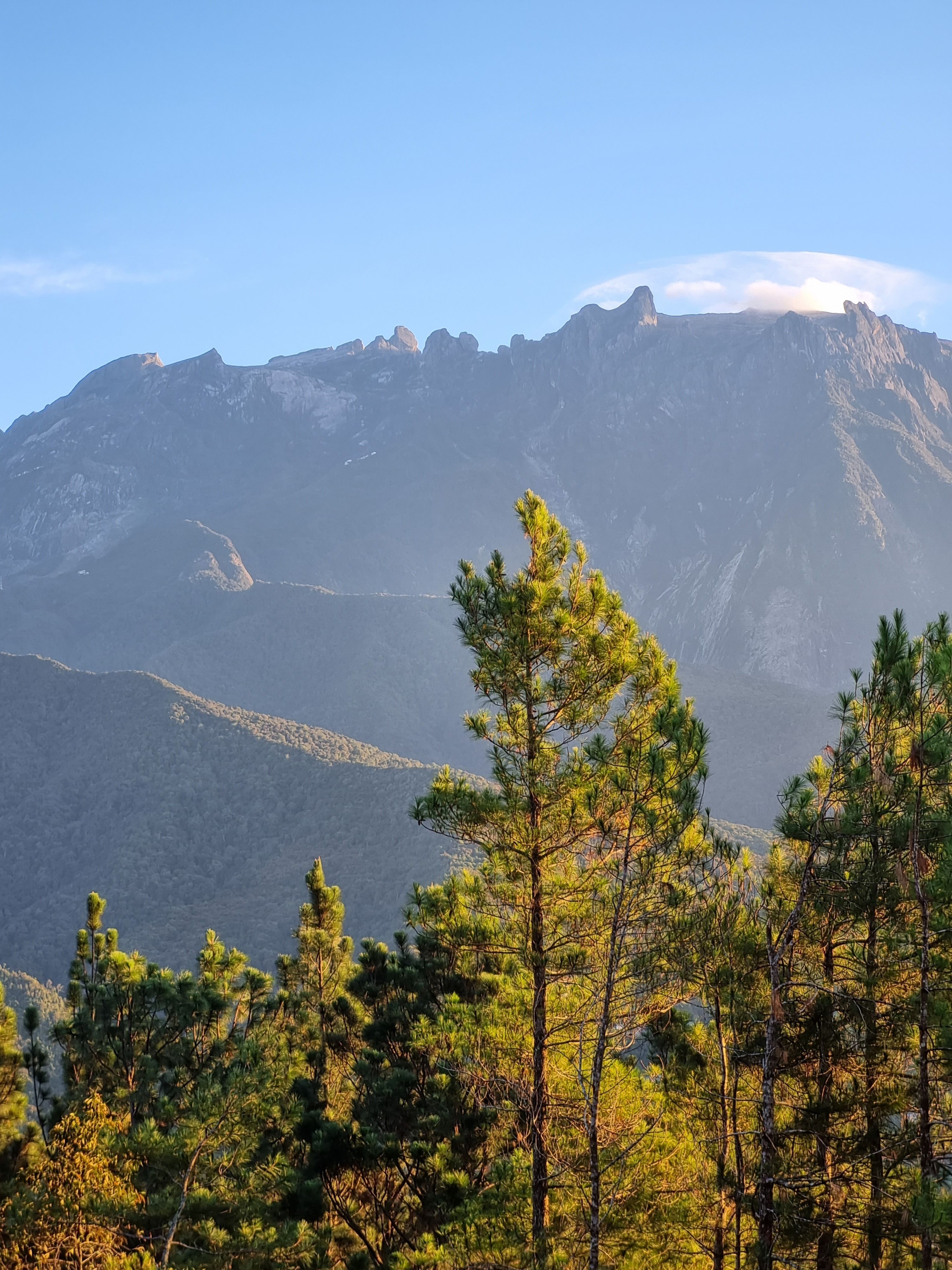 Majestic View of Mount Kinabalu with Lush Forest · Free Stock Photo