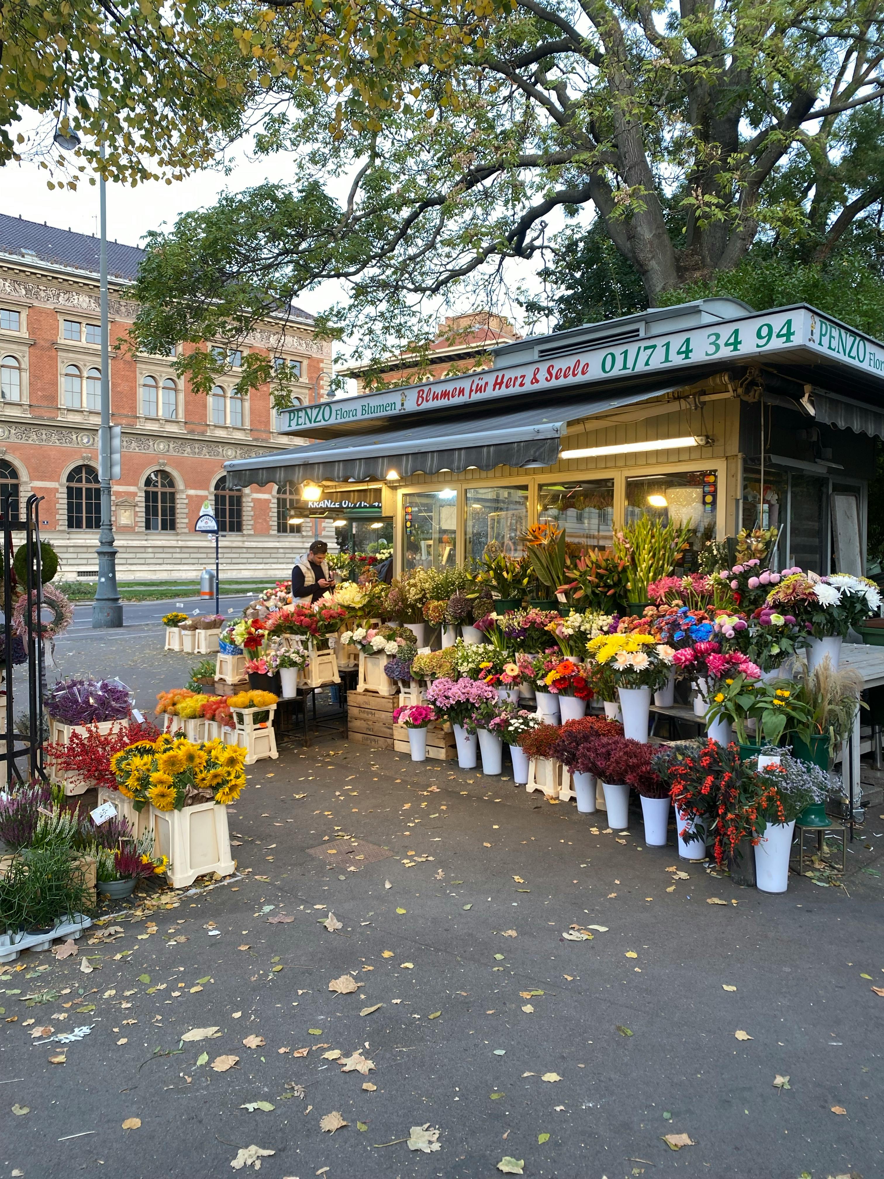 Charming Outdoor Flower Stall in European City · Free Stock Photo
