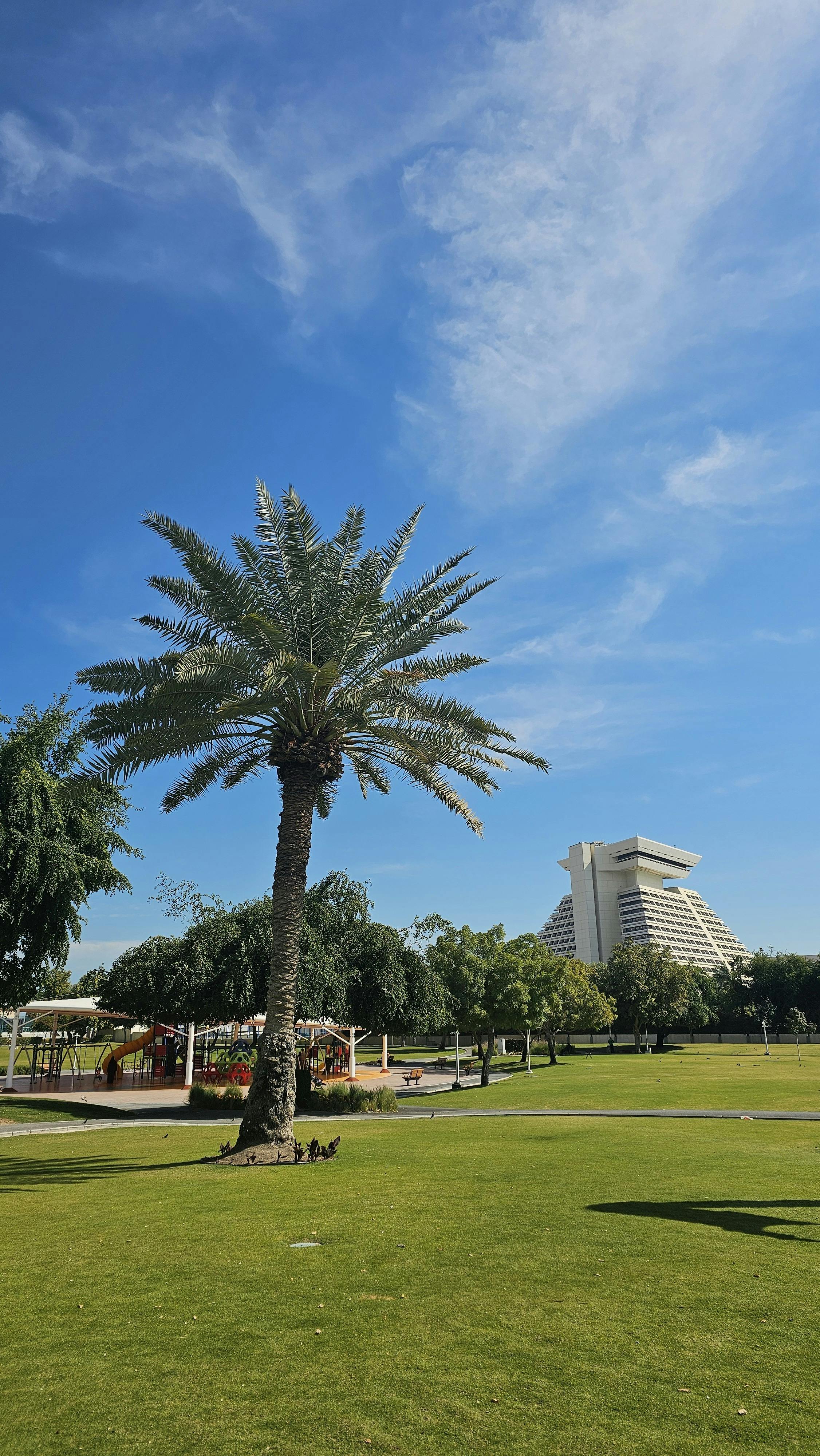 Stunning Doha Park with Unique Skyscraper View · Free Stock Photo