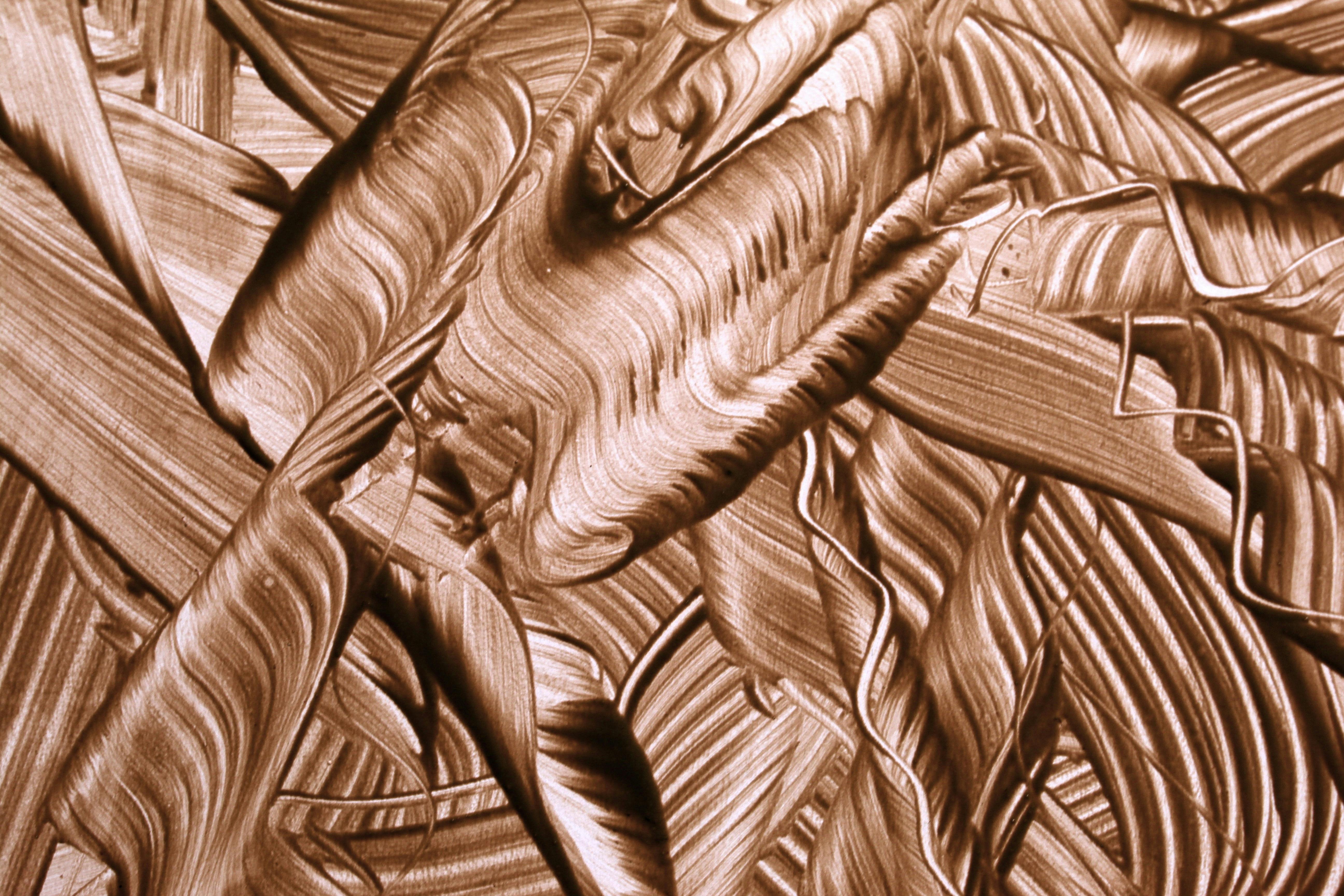 Sepia Painting Photos, Download The BEST Free Sepia Painting Stock ...