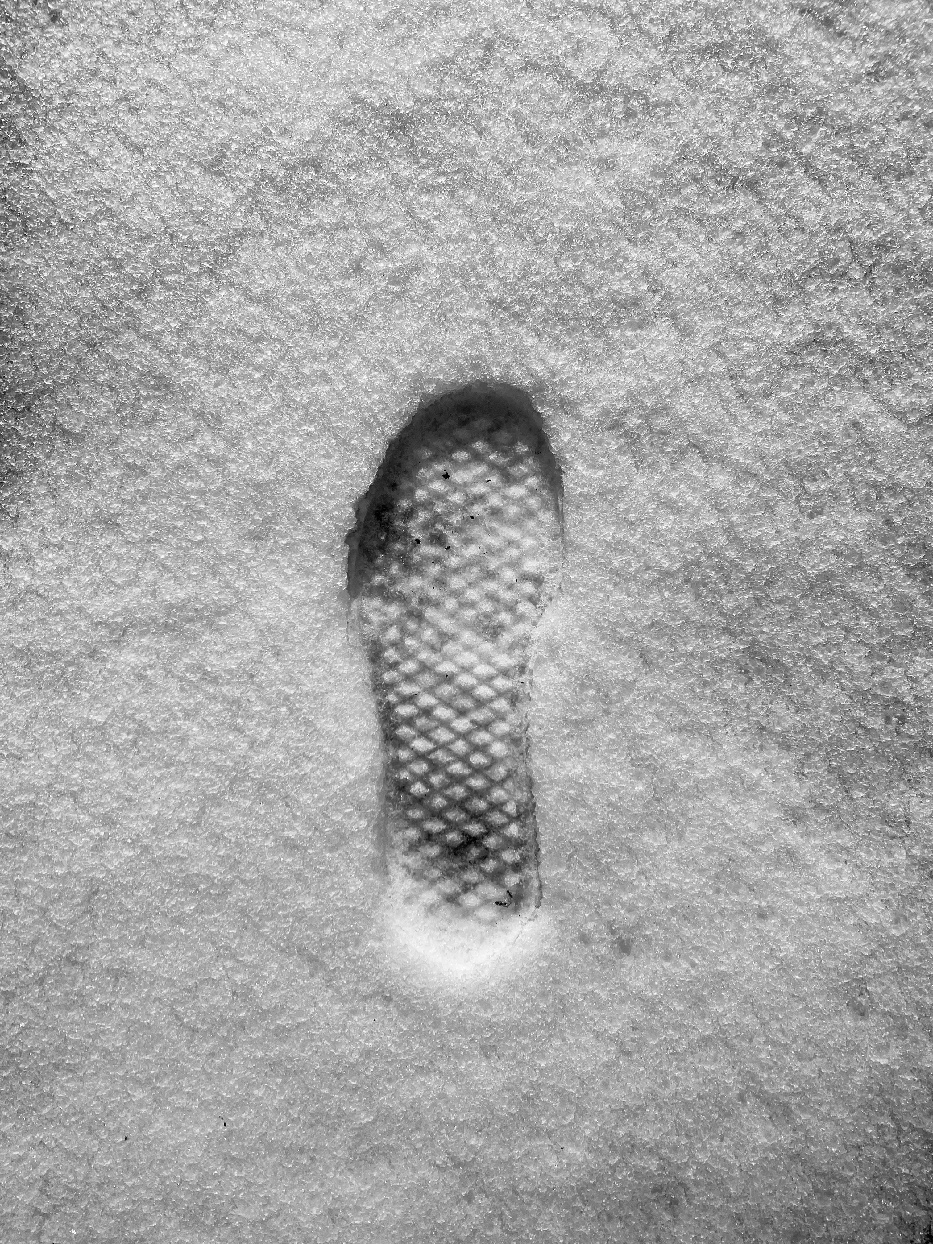 Footprint in Snow: Imprint of a Winter Step · Free Stock Photo
