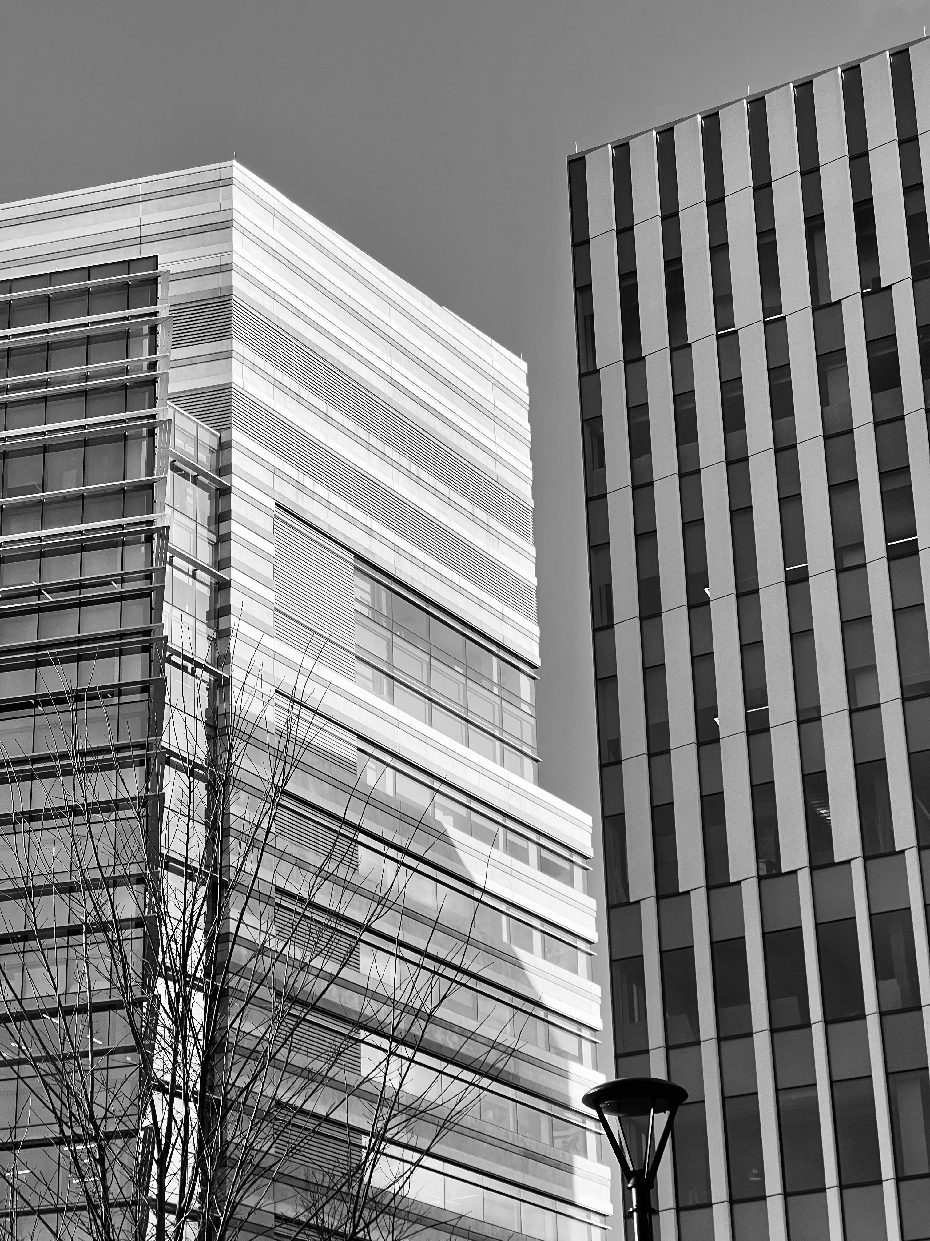 Modern Urban Architecture in Monochrome · Free Stock Photo