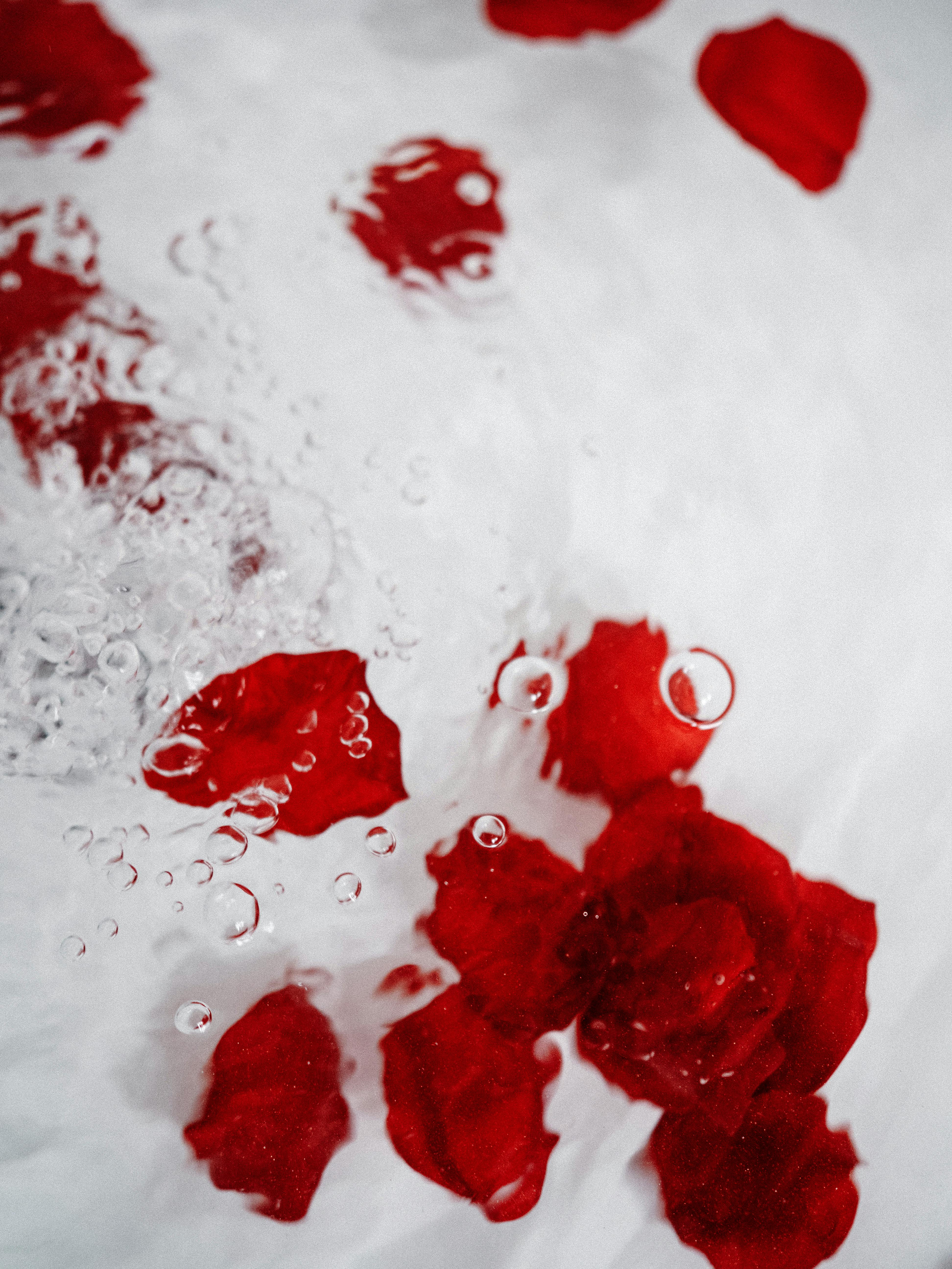 Musk Floral Texture Photos, Download The BEST Free Musk Floral Texture ...