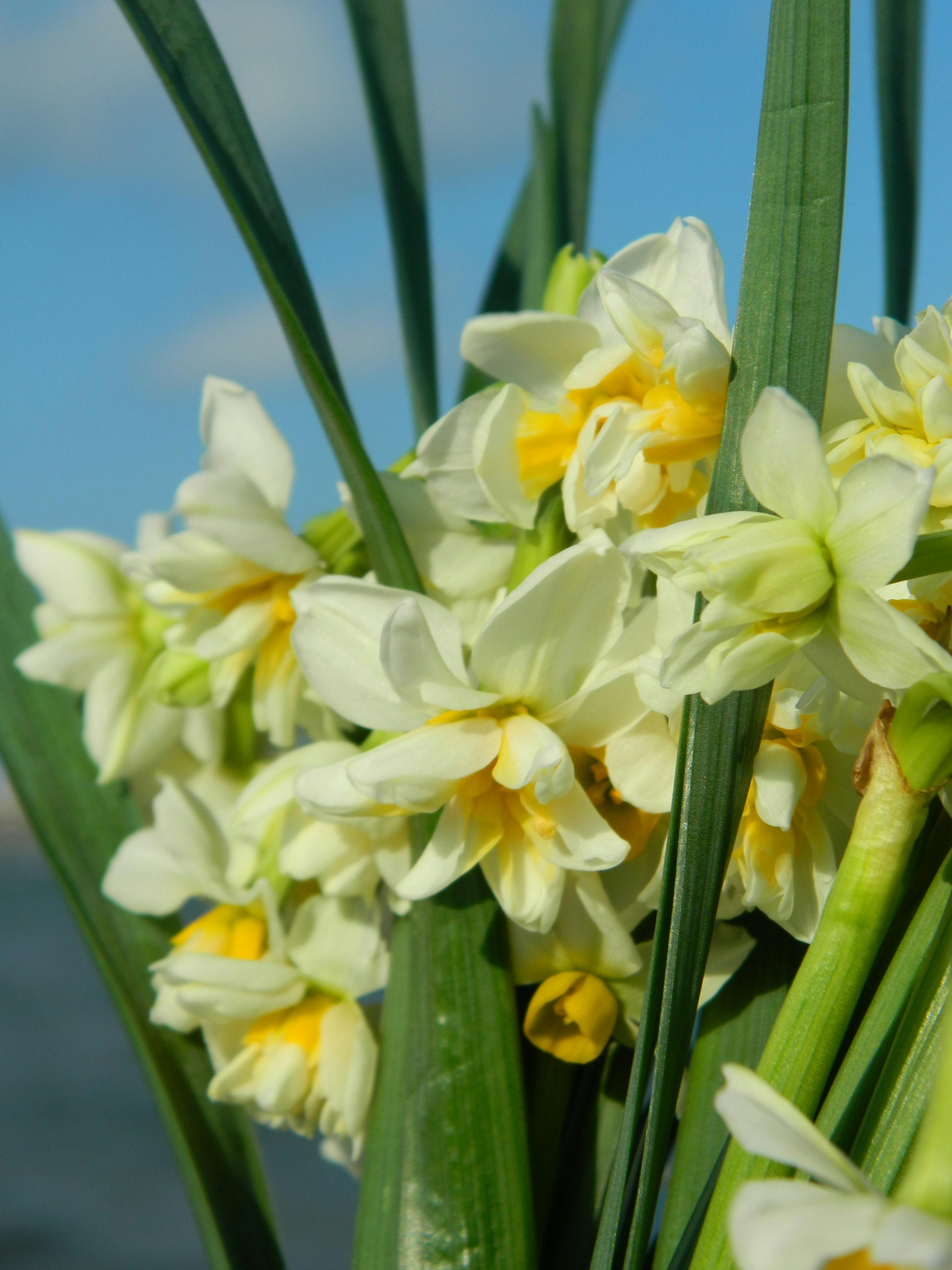 Bunch Of Mice Photos, Download The BEST Free Bunch Of Mice Stock Photos ...