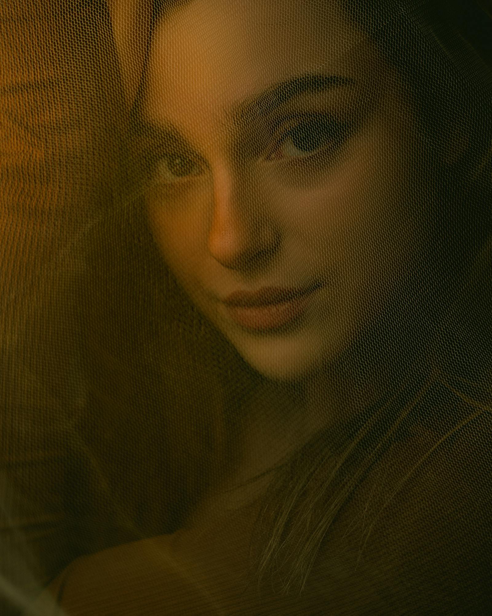 Mesh Photos, Download The BEST Free Mesh Stock Photos & HD Images