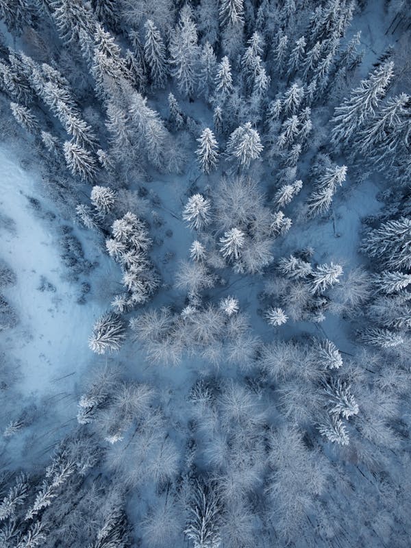 Winter, Snow Scenes Photos, Download The BEST Free Winter, Snow Scenes ...