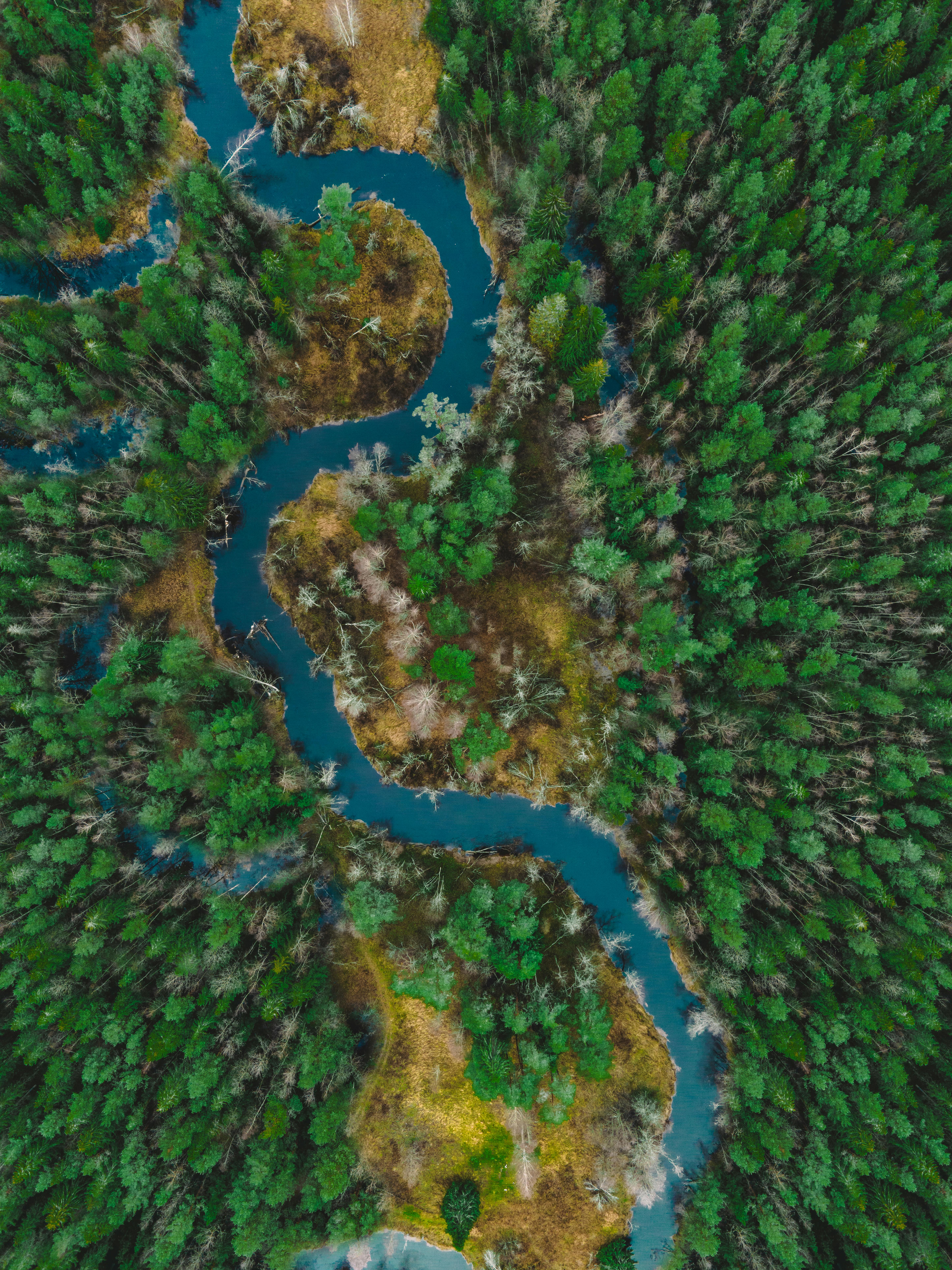 Streaming+Video+Bokep+Montok Photos, Download The BEST Free Streaming+Video+Bokep+Montok Stock ...