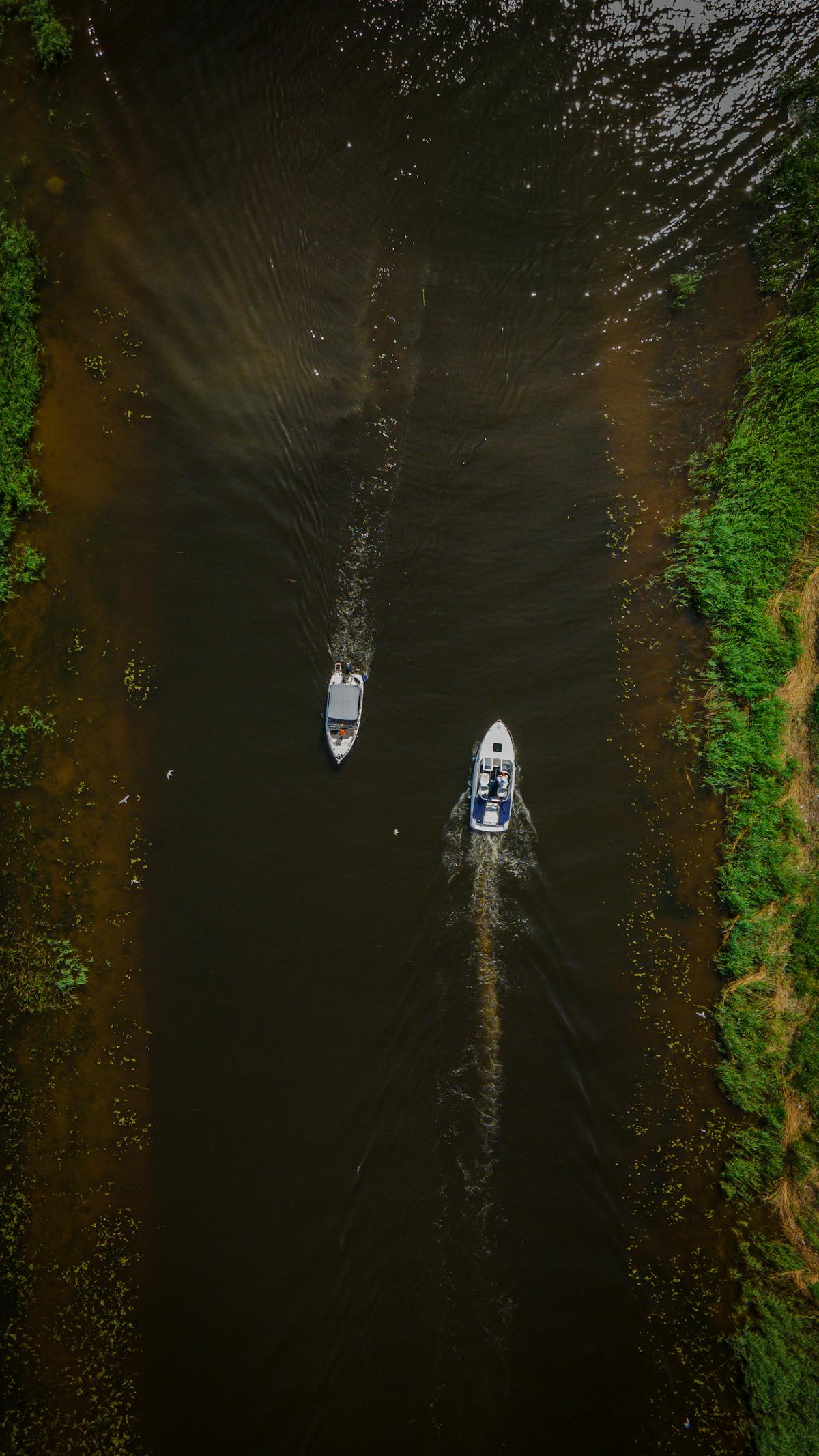 River Landscape Photos, Download The BEST Free River Landscape Stock ...