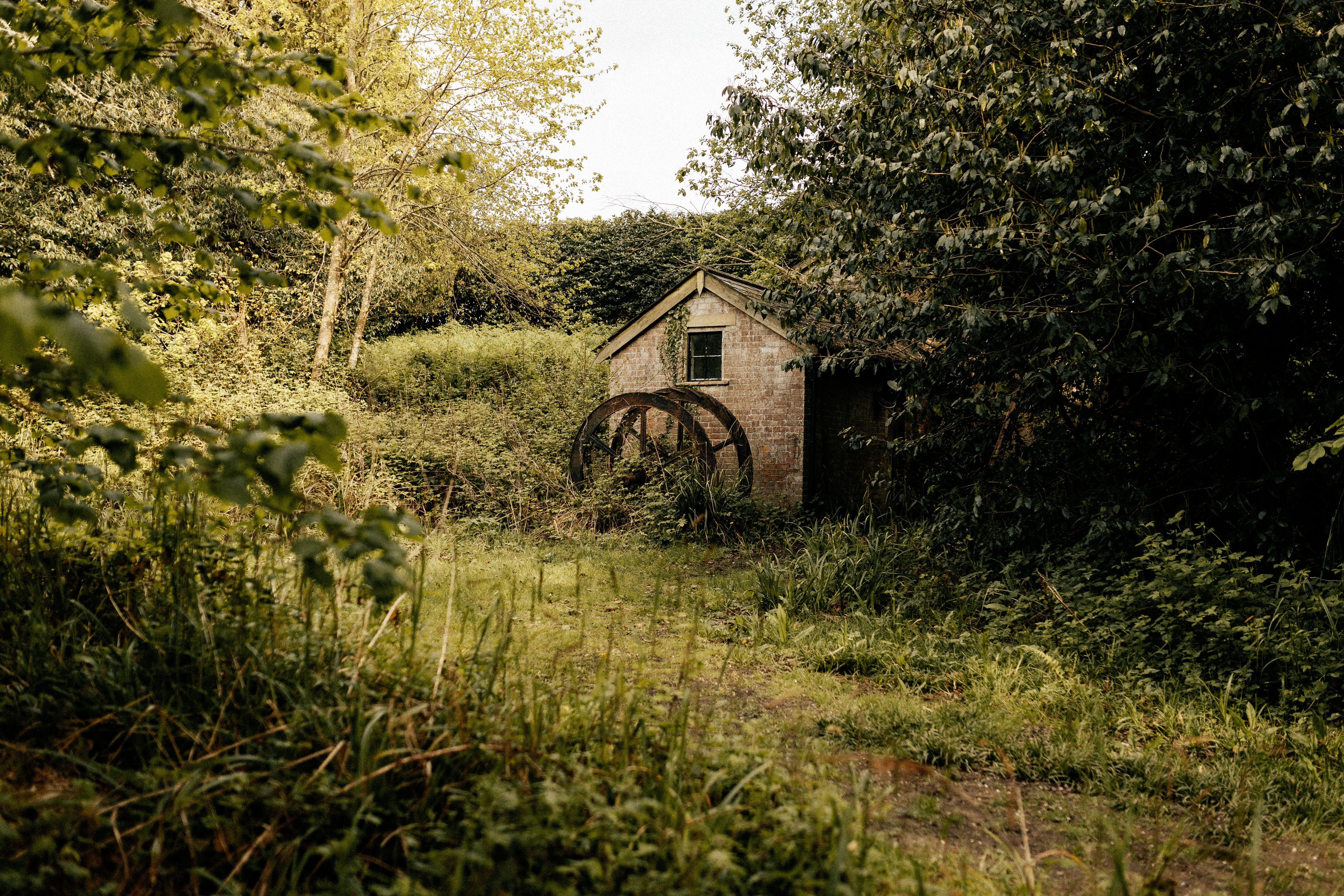 Charming Old Watermill at Ashburnham Place, England · Free Stock Photo